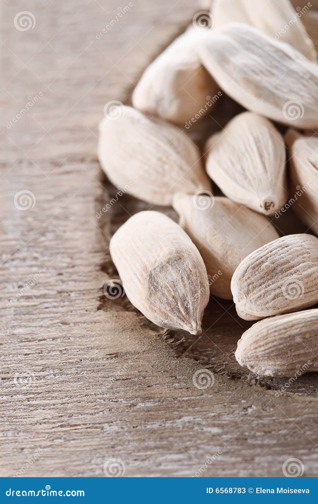 White Cardamom Pods on Old Wood Macro Stock Image - Image of indian ...