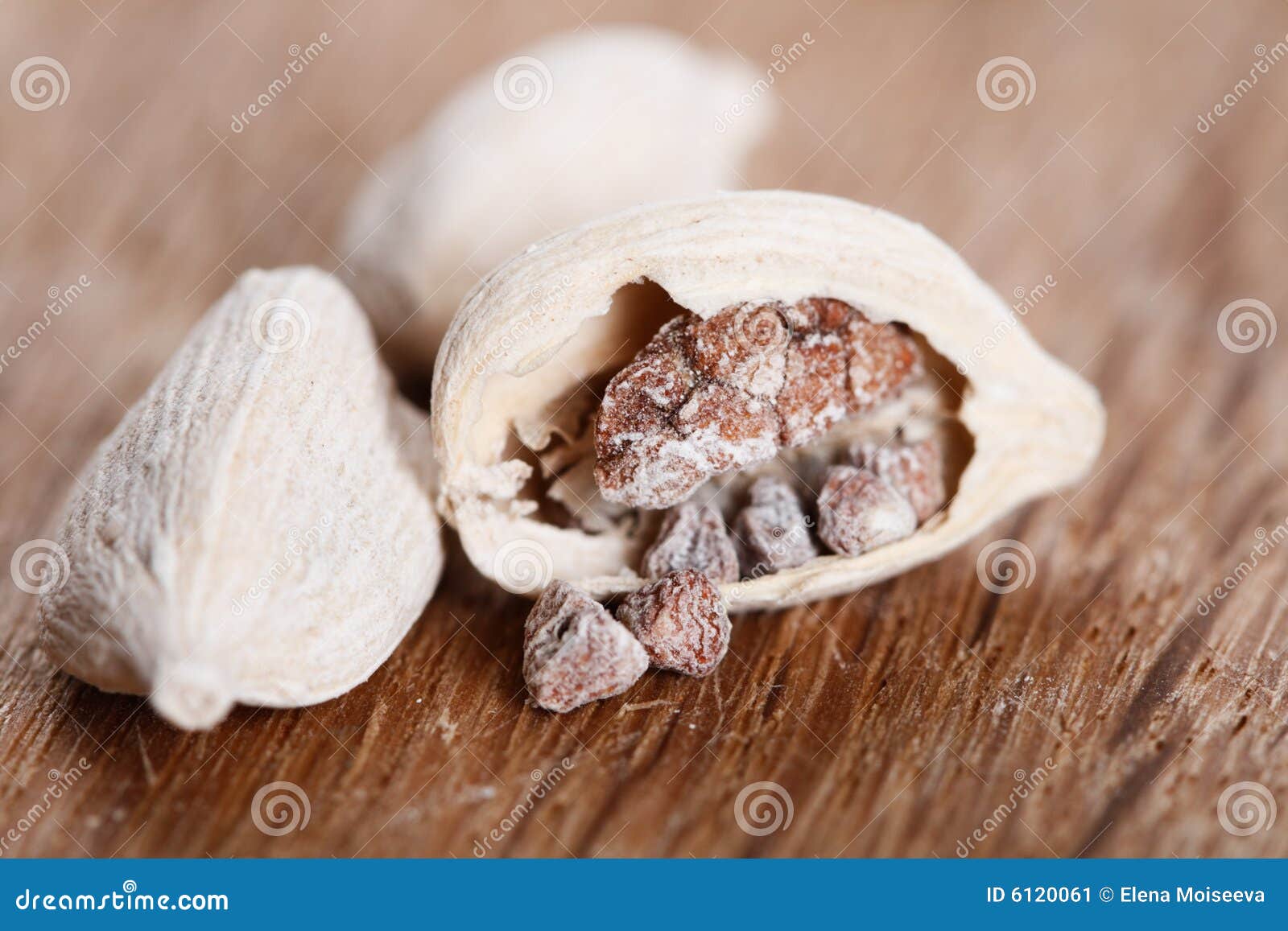White Cardamom Pods on Old Wood One Opened Stock Image - Image of ...