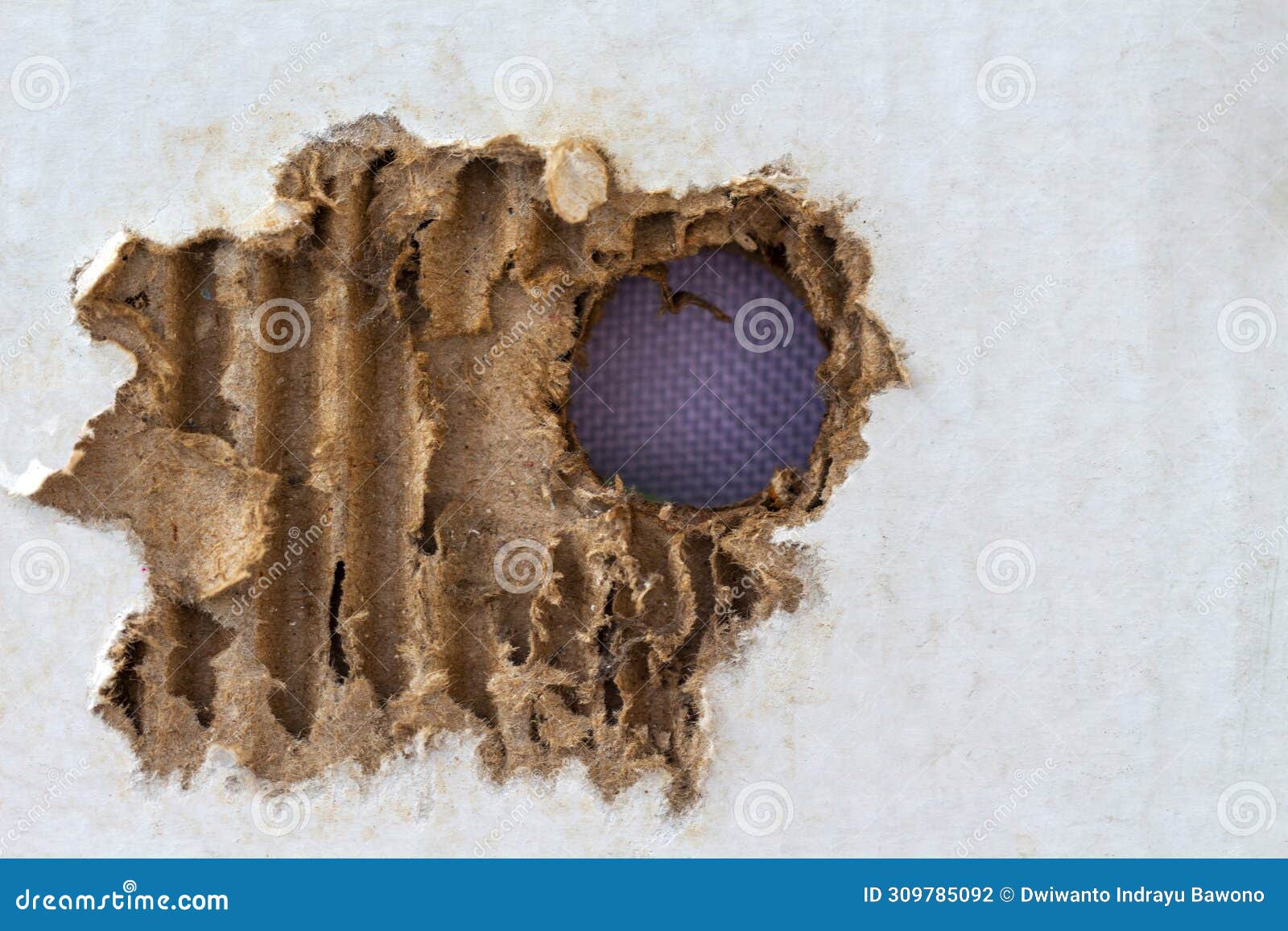 The White Cardboard Background is Damaged Stock Photo - Image of copy ...