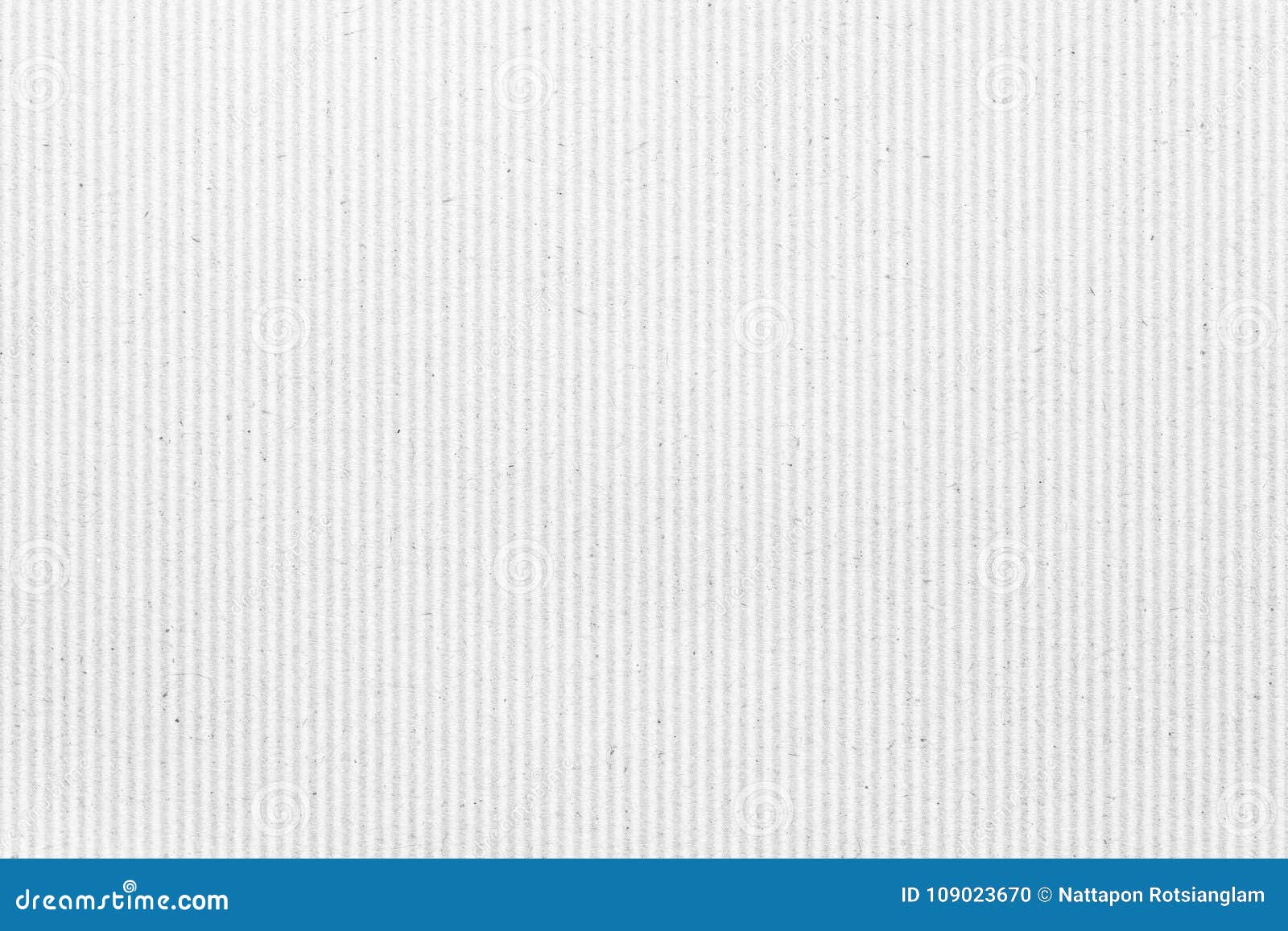 White Cardboard Box Texture