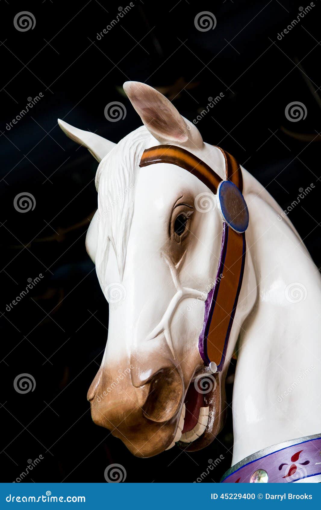 White Carousel Horse Head stock photo. Image of round - 45229400