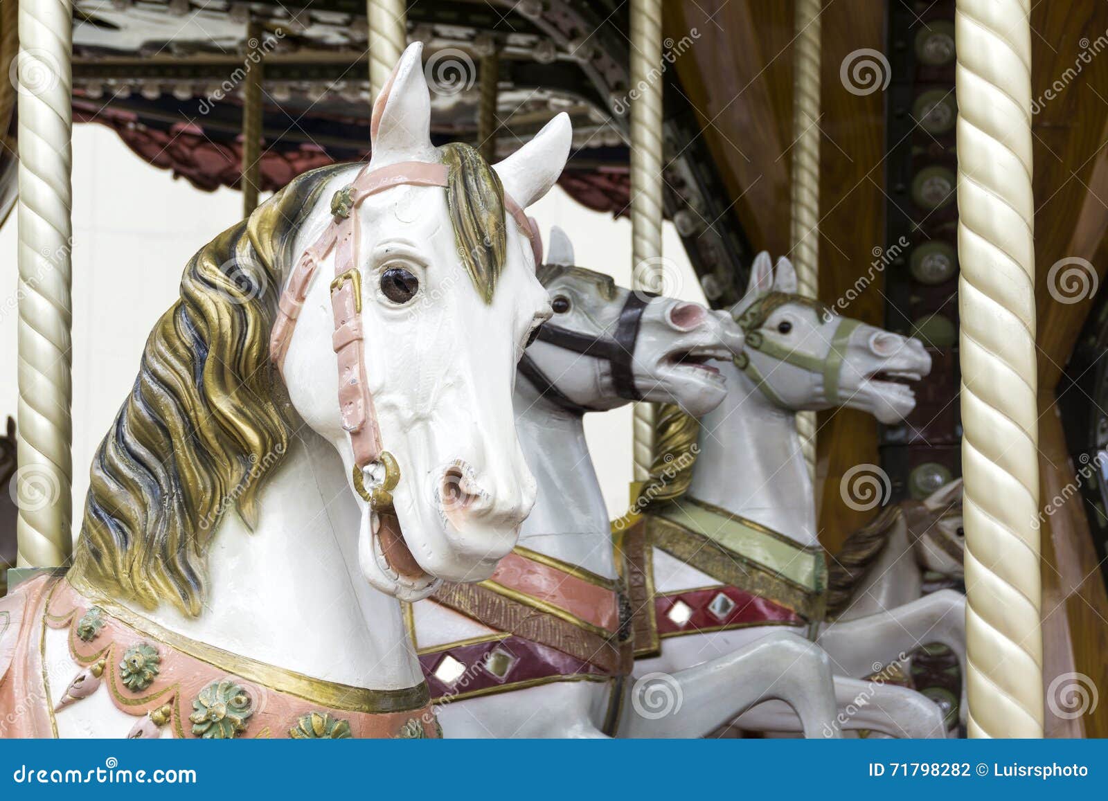 White carousel horses stock photo. Image of horse, recreation - 71798282