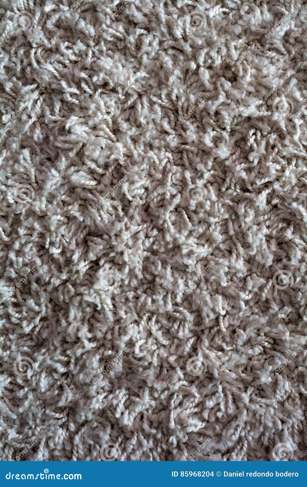 White carpet stock photo. Image of stylish, fashion, carpet - 85968204