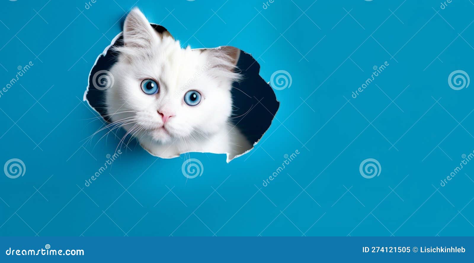White Cat in a Box Created with Generative Ai Tools Stock Image - Image ...