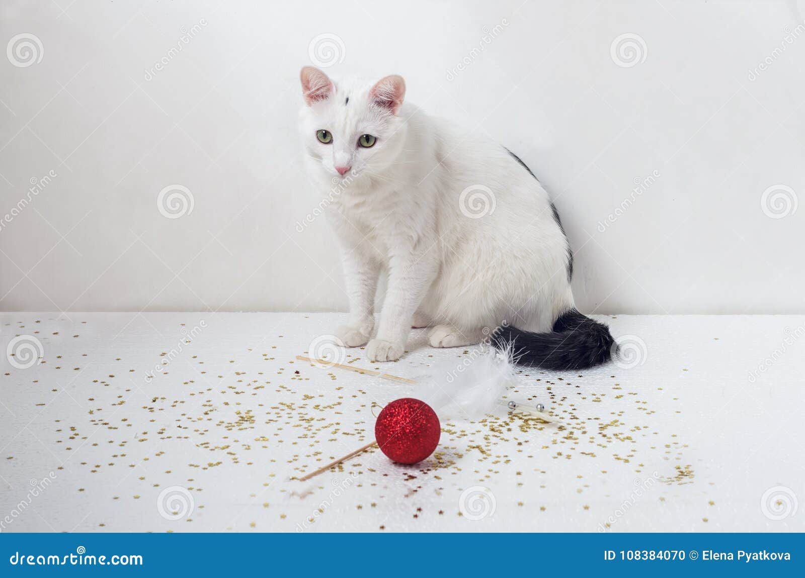 White Cat Playing with Red Ball Stock Photo - Image of lovely, glass ...