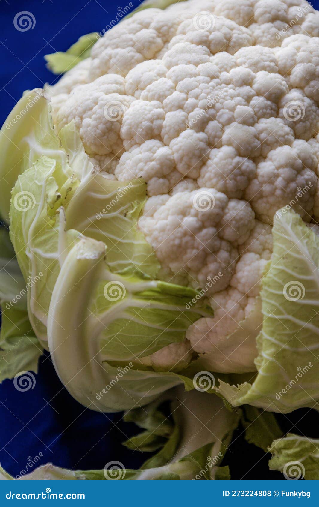 White Cauliflower Closeup Fresh Stock Photo - Image of natural, healthy ...
