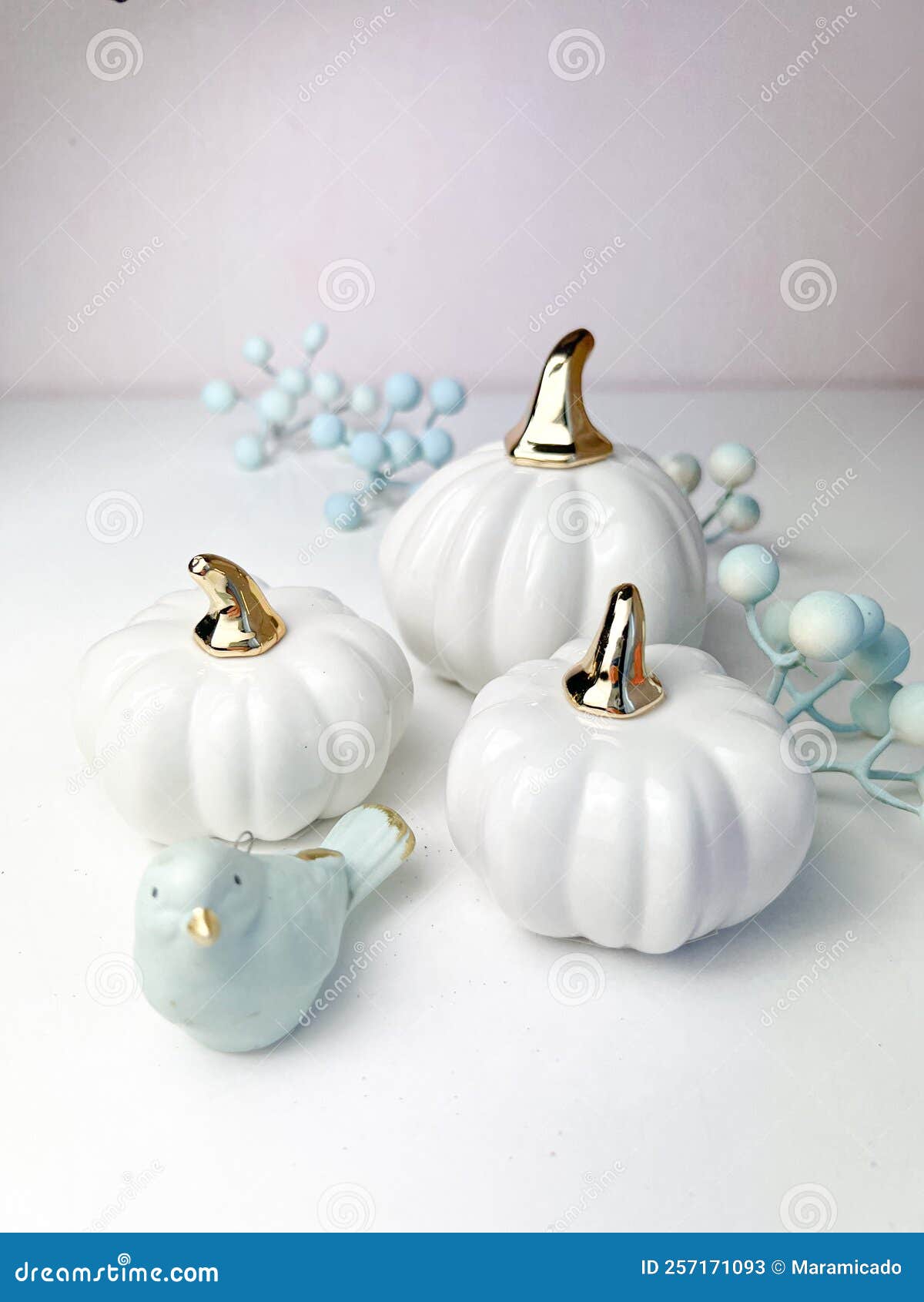 White Ceramic Pumpkins with Bird Stock Image - Image of collection ...