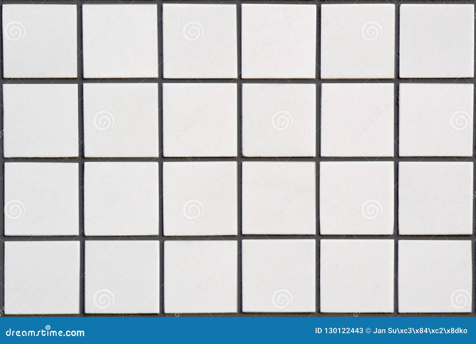 White Ceramic Tile with 24 Squares in Rectangular Form with Black ...