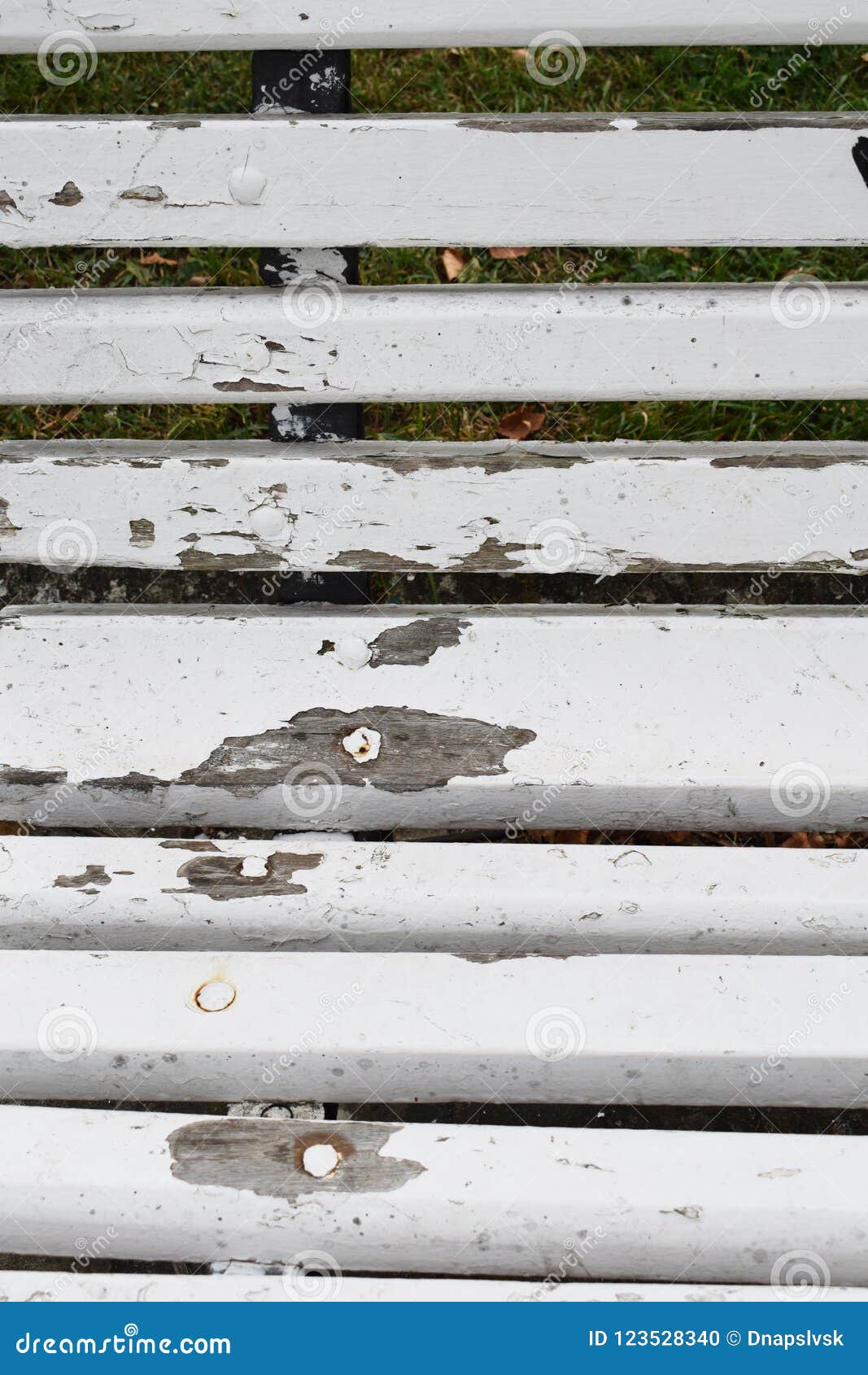White Chair in the Park Background Stock Photo - Image of texture ...