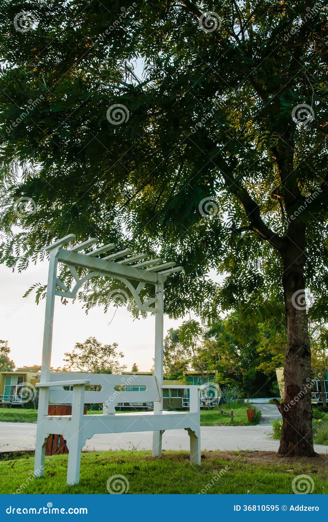 White Chair Under the Tree in the Evening Stock Image - Image of chair ...