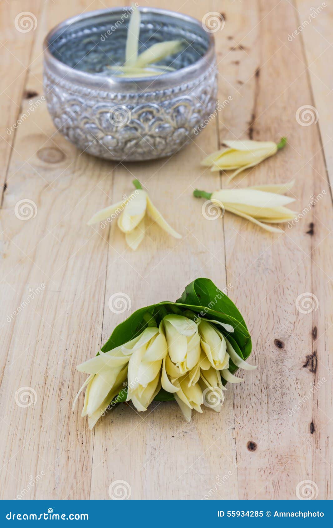 White Champaka flower. stock image. Image of beauty, nature - 55934285