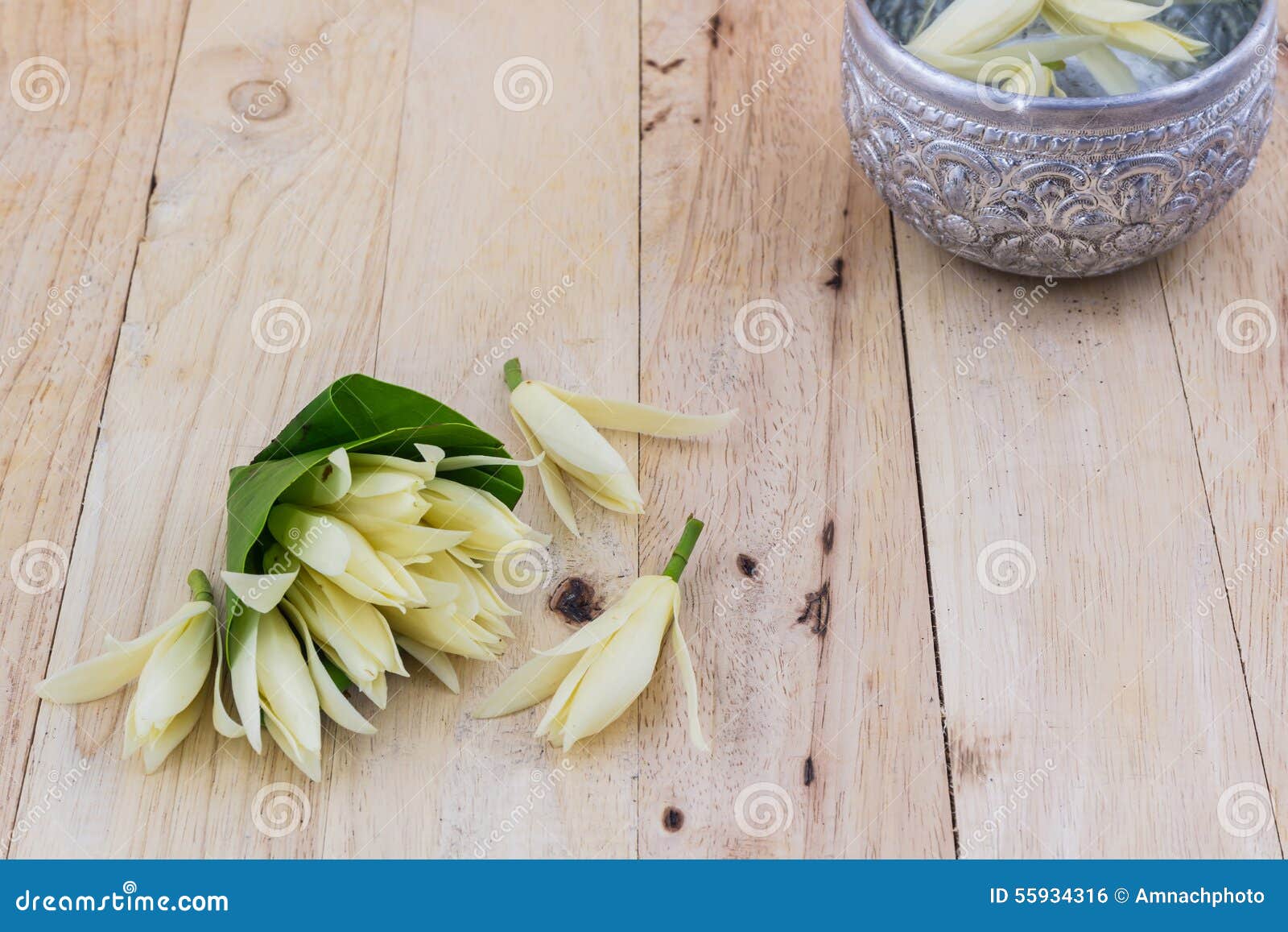 White Champaka flower. stock photo. Image of leaf, beautiful - 55934316