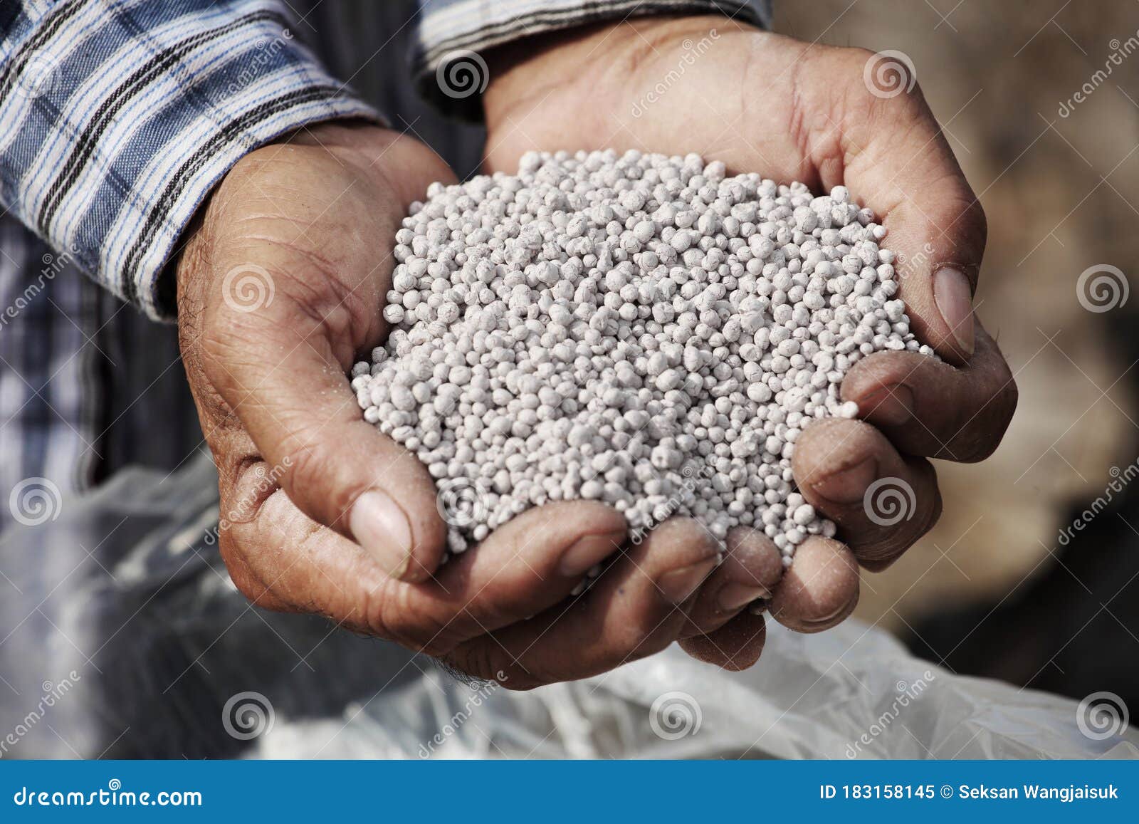 White Chemical Fertilizer in Farmer Hand Stock Image - Image of ...