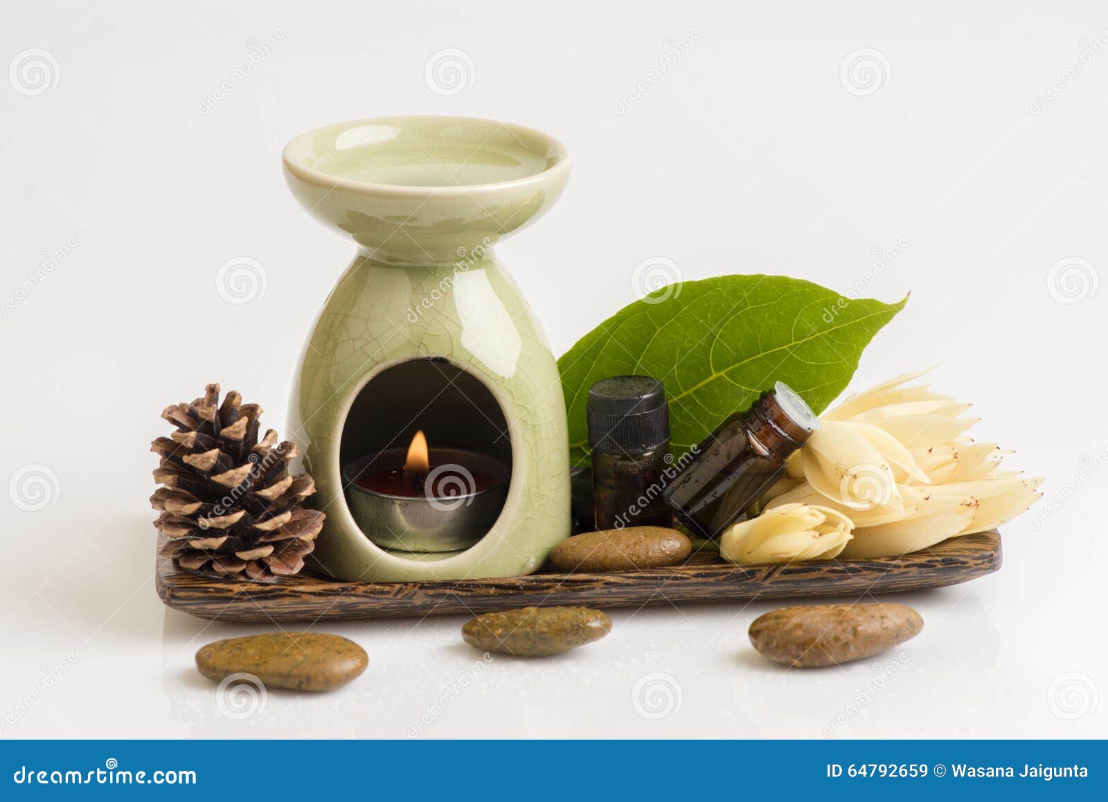 White Chempaka, Champee (thai Name) Flower Absolute. Stock Image ...