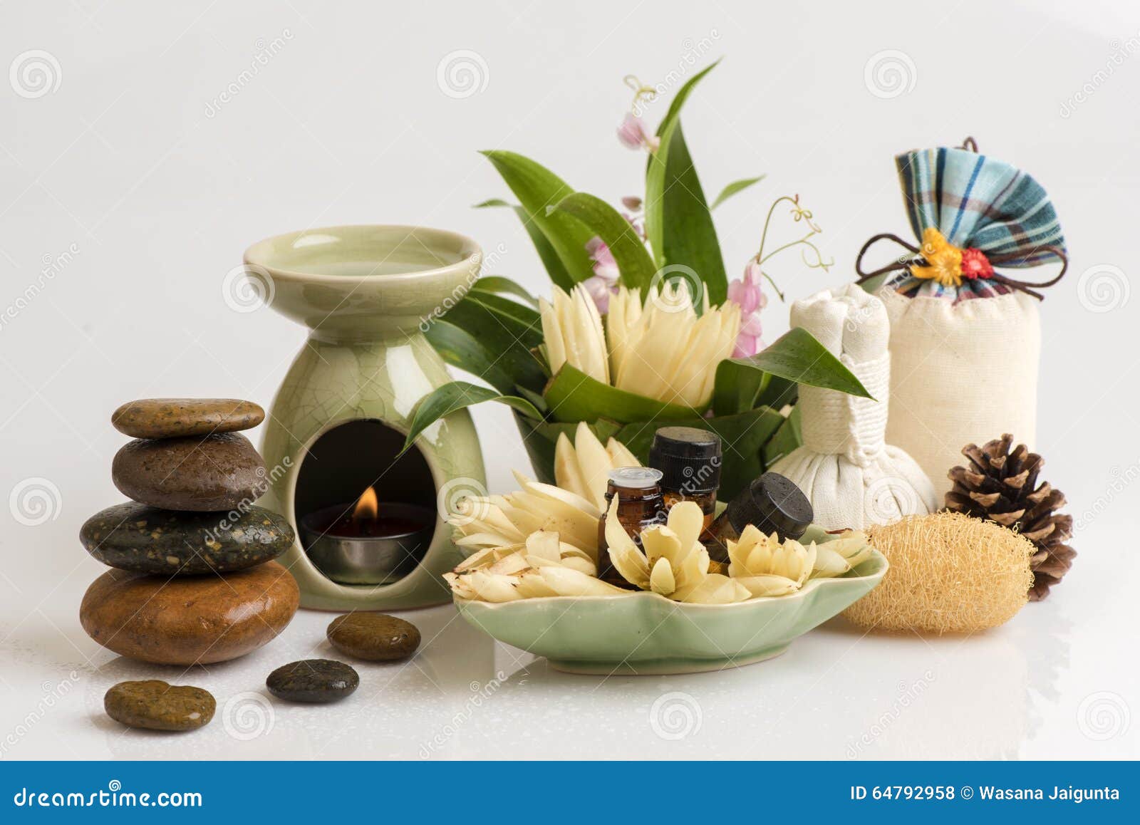 White Chempaka, Champee (thai Name) Flower Absolute. Stock Photo ...