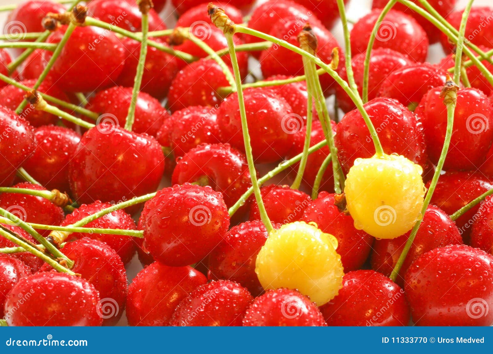 White cherrys stock photo. Image of ingredient, mature - 11333770