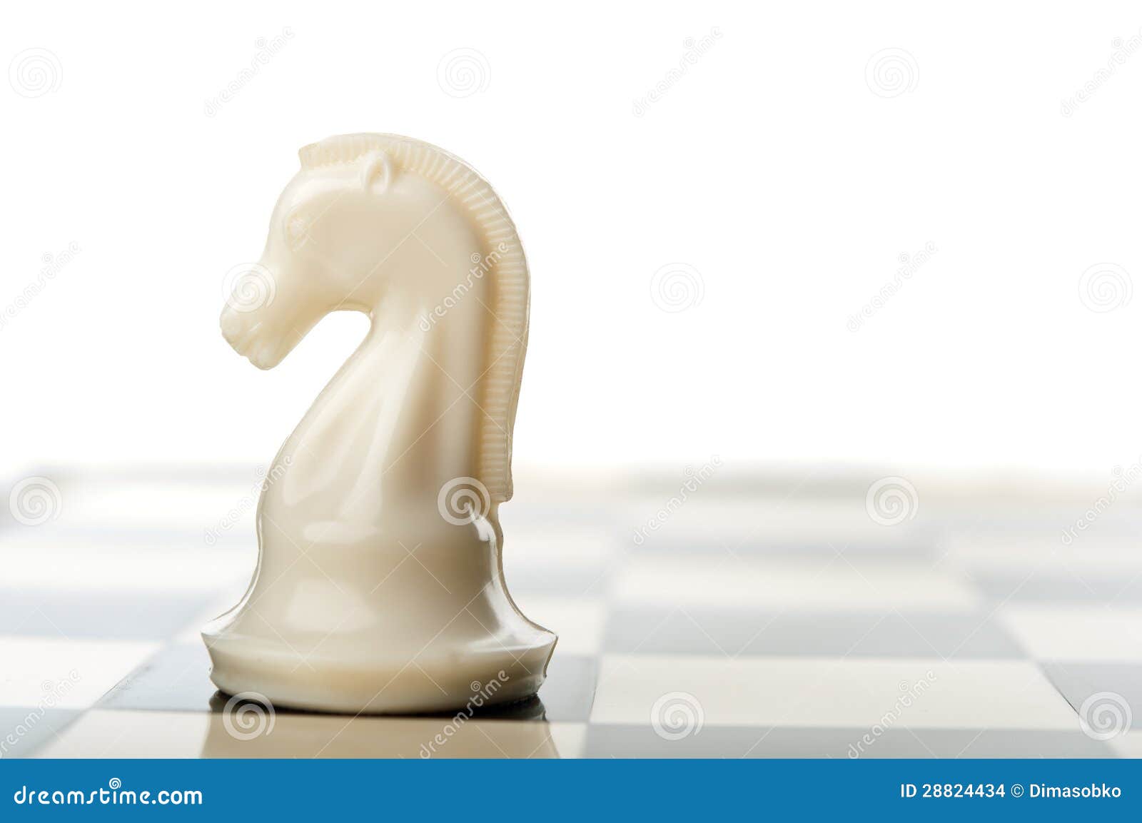 White chess knight stock photo. Image of chessboard, business - 28824434