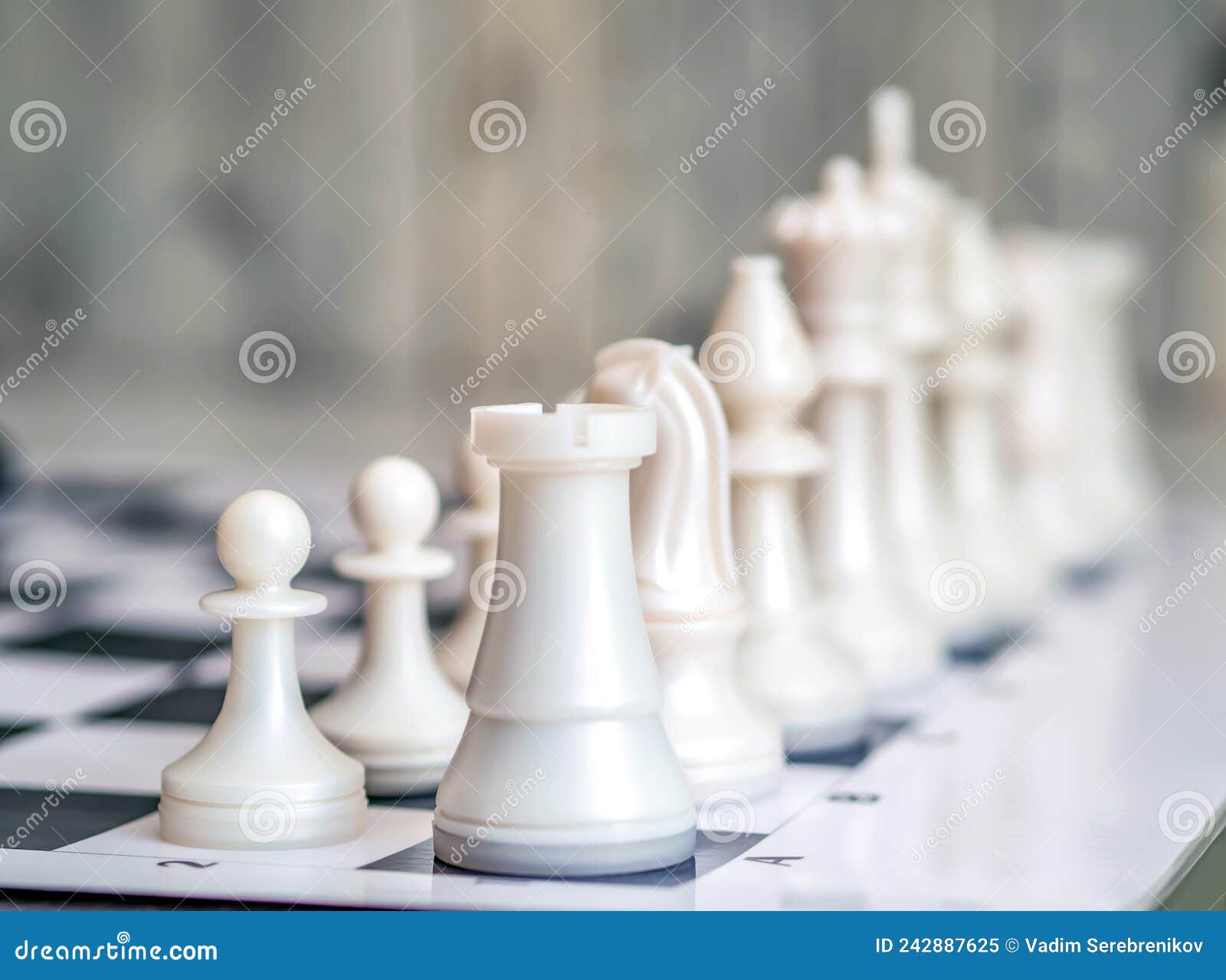 White Chess Pieces are in the Correct Order on the Chess Board ...