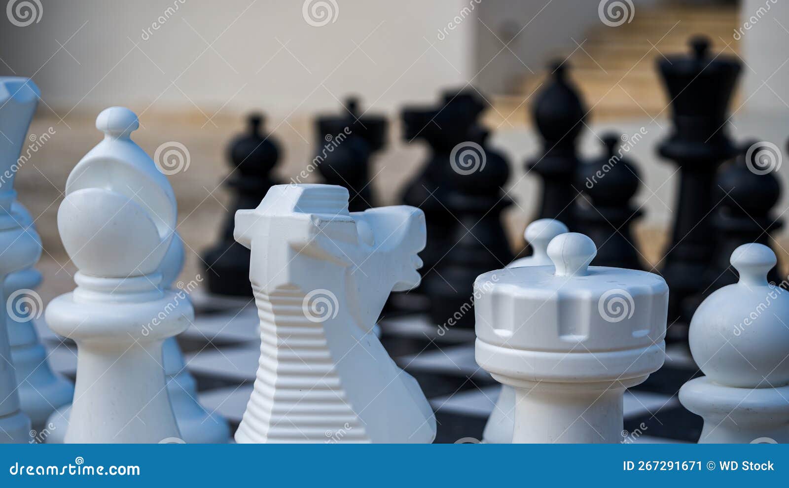 White Chess Pieces Lined Up at the Start of a Game Stock Image - Image ...