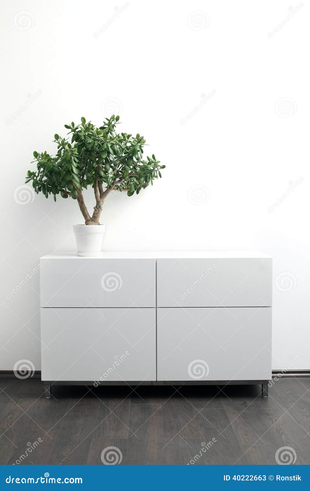 White Chest of Drawers with Flower Pot in Bright Interior Stock Image ...