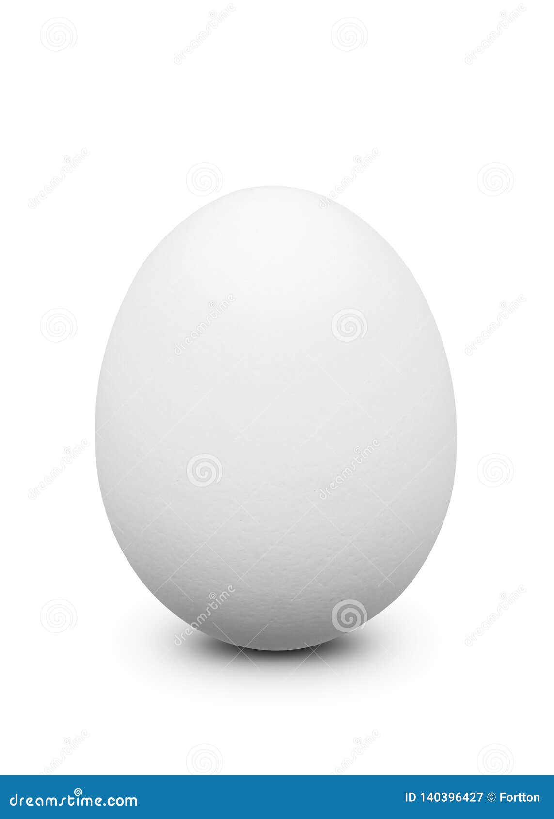 White chicken egg stock image. Image of single, eggshell - 140396427