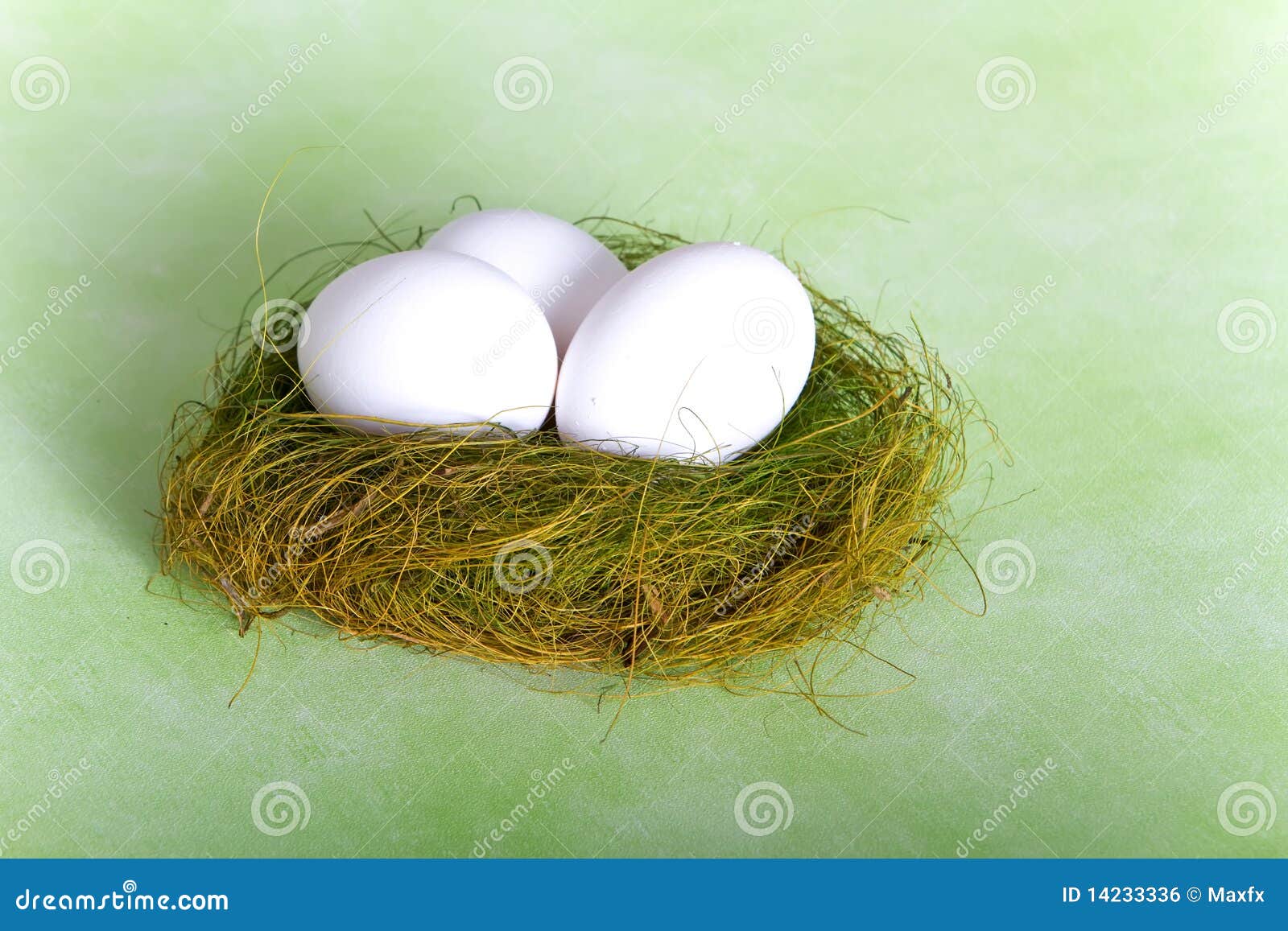 White Chicken Eggs in a Nest Stock Photo - Image of food, chicken: 14233336