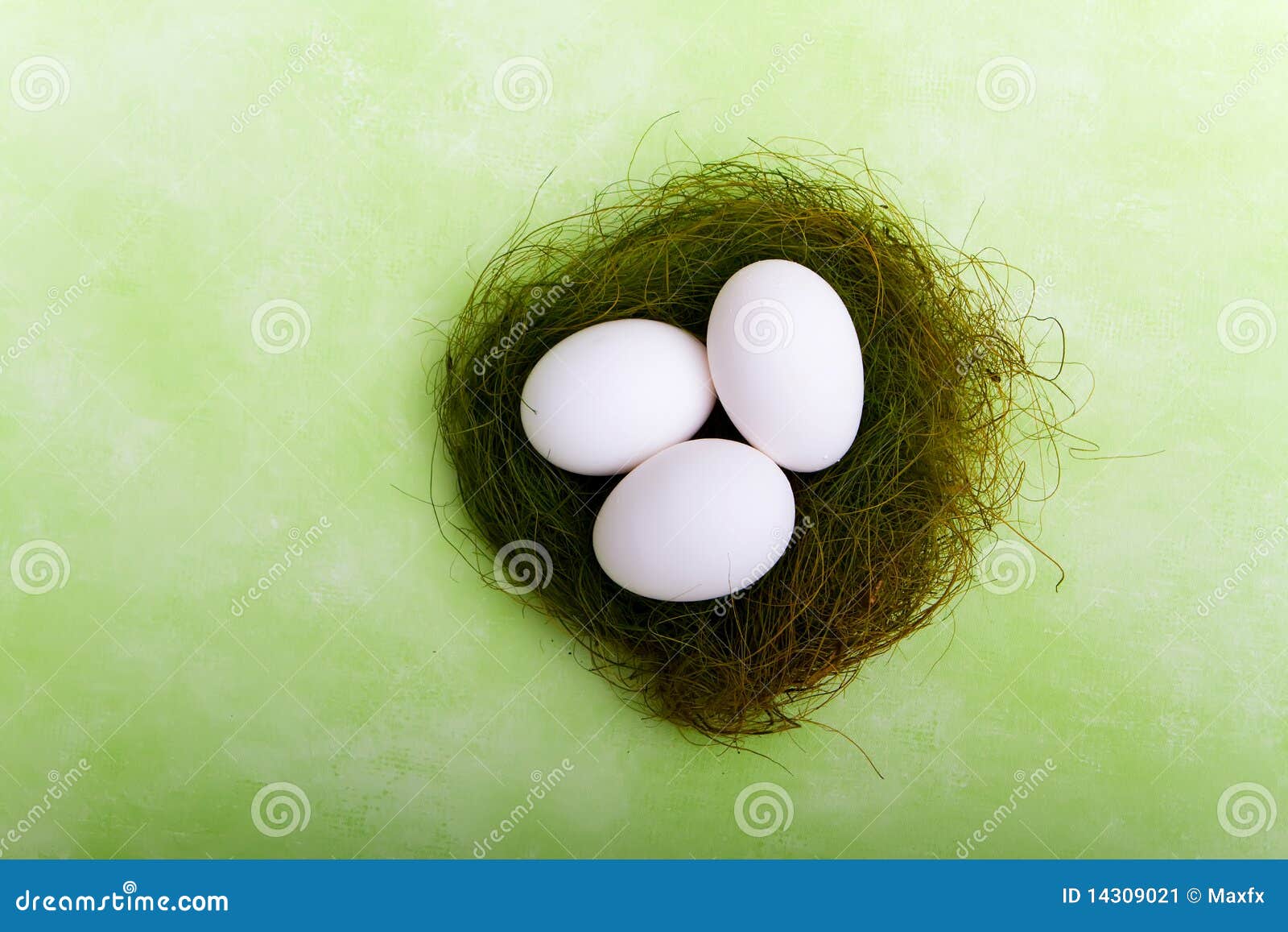 White Chicken Eggs in a Nest Stock Image - Image of eggs, food: 14309021