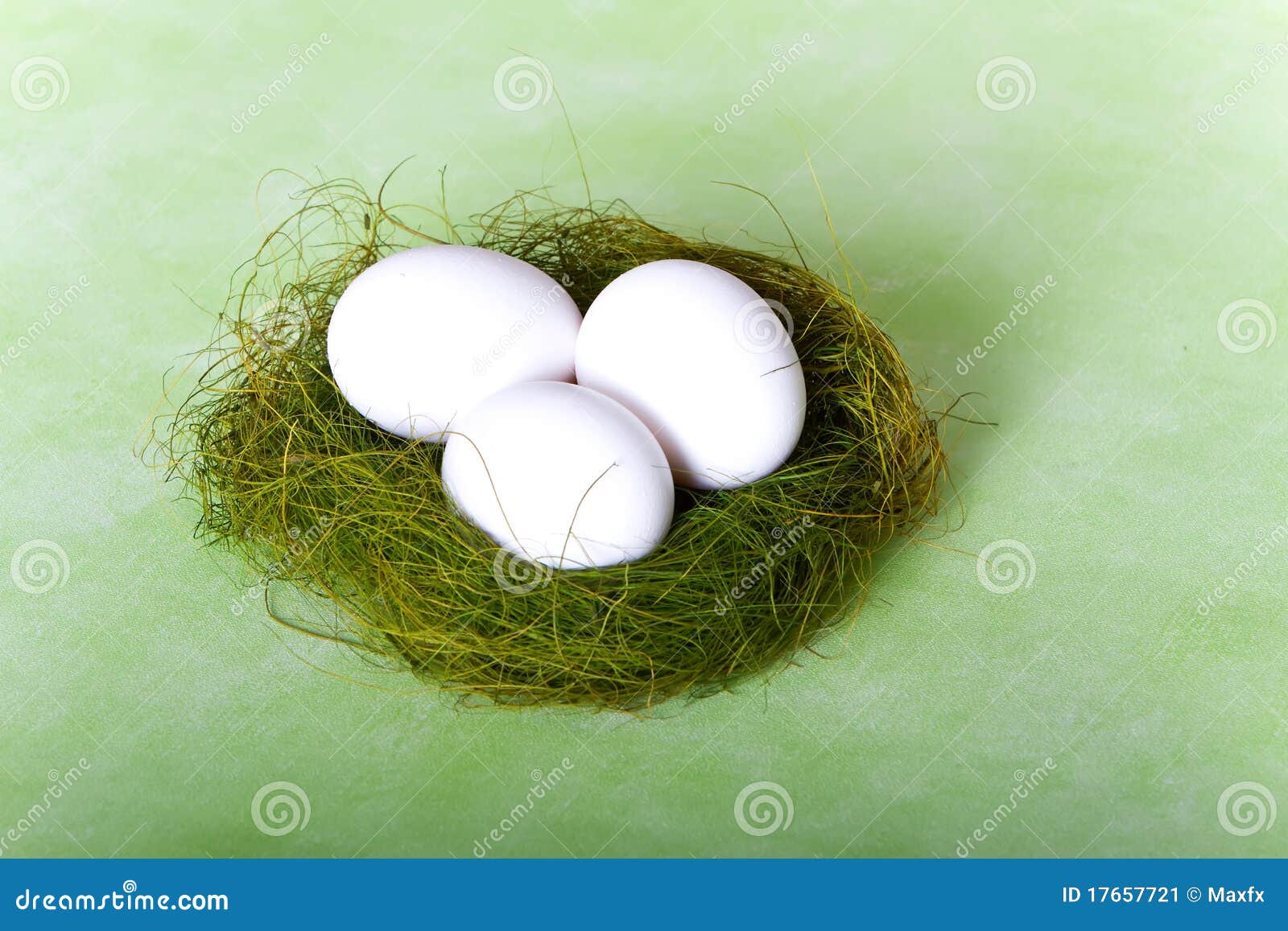 White Chicken Eggs in a Nest Stock Image - Image of healthy, multiple ...