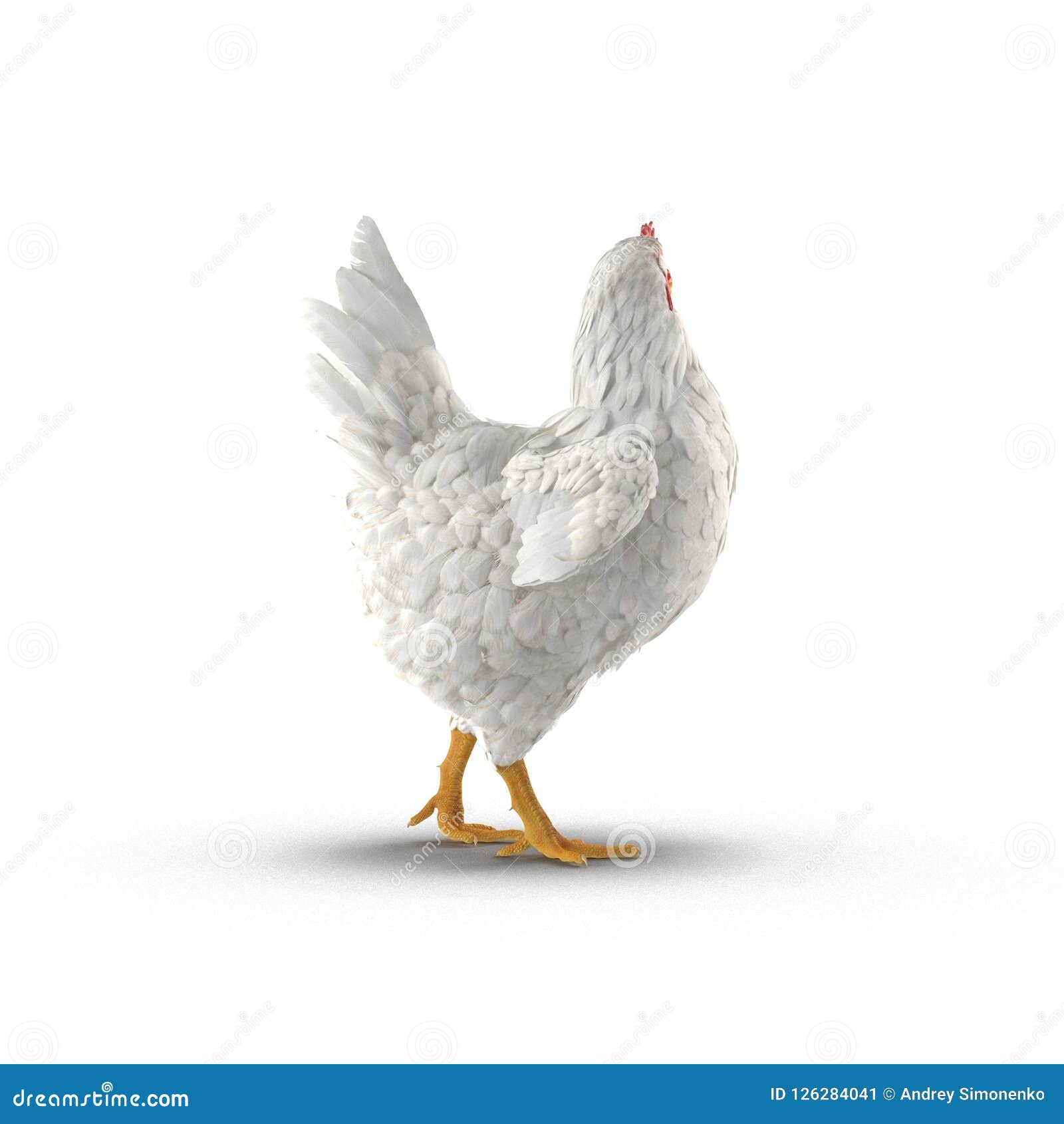 White Chicken or Hen on Bright. Side View. 3D Illustration Stock ...
