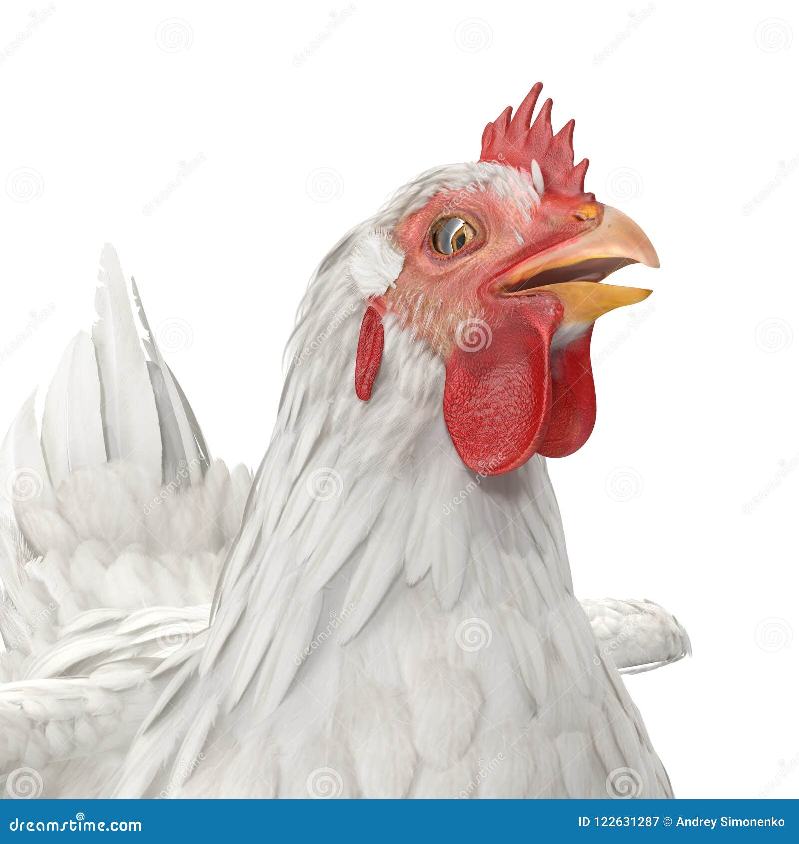 White Chicken or Hen. 3D Illustration Stock Illustration - Illustration ...