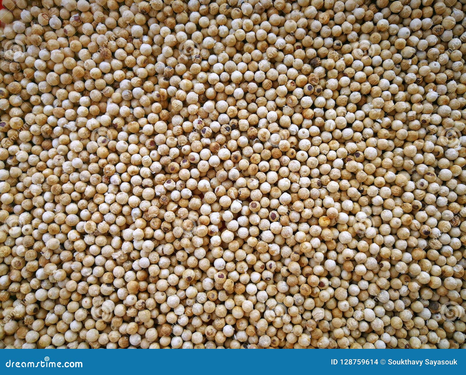 Pepper Texture Stock Photography | CartoonDealer.com #51154574