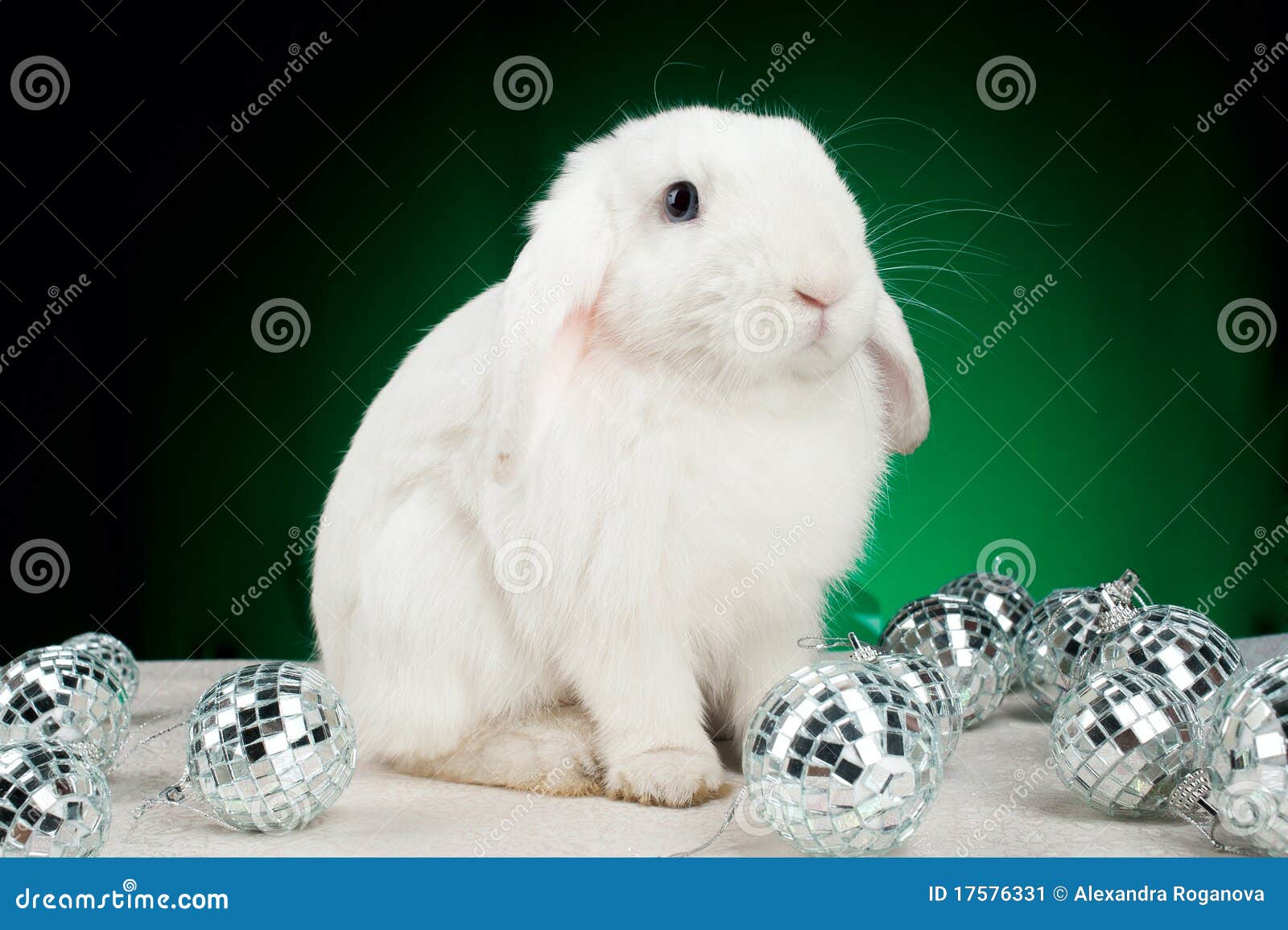 475 Rabbit Christmas Decorations Stock Photos - Free & Royalty-Free ...