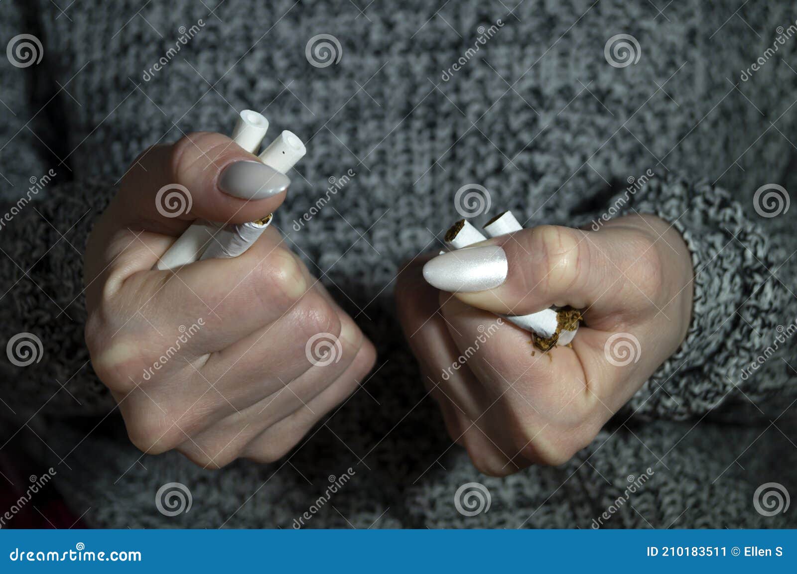 White Cigarettes in the Hands of a Girl Stock Image - Image of white ...
