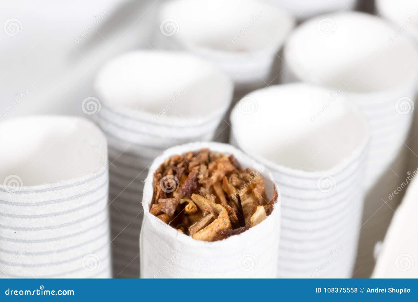 White Cigarettes in a Pack. Stock Photo - Image of smoke, open: 108375558