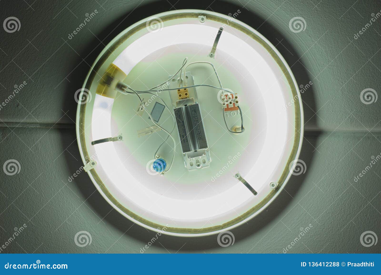 The White Circle Fluorescent Lamp No Cap Stock Photo - Image of details ...