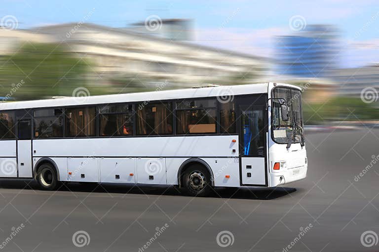 White city bus stock image. Image of coach, public, travel - 33133473