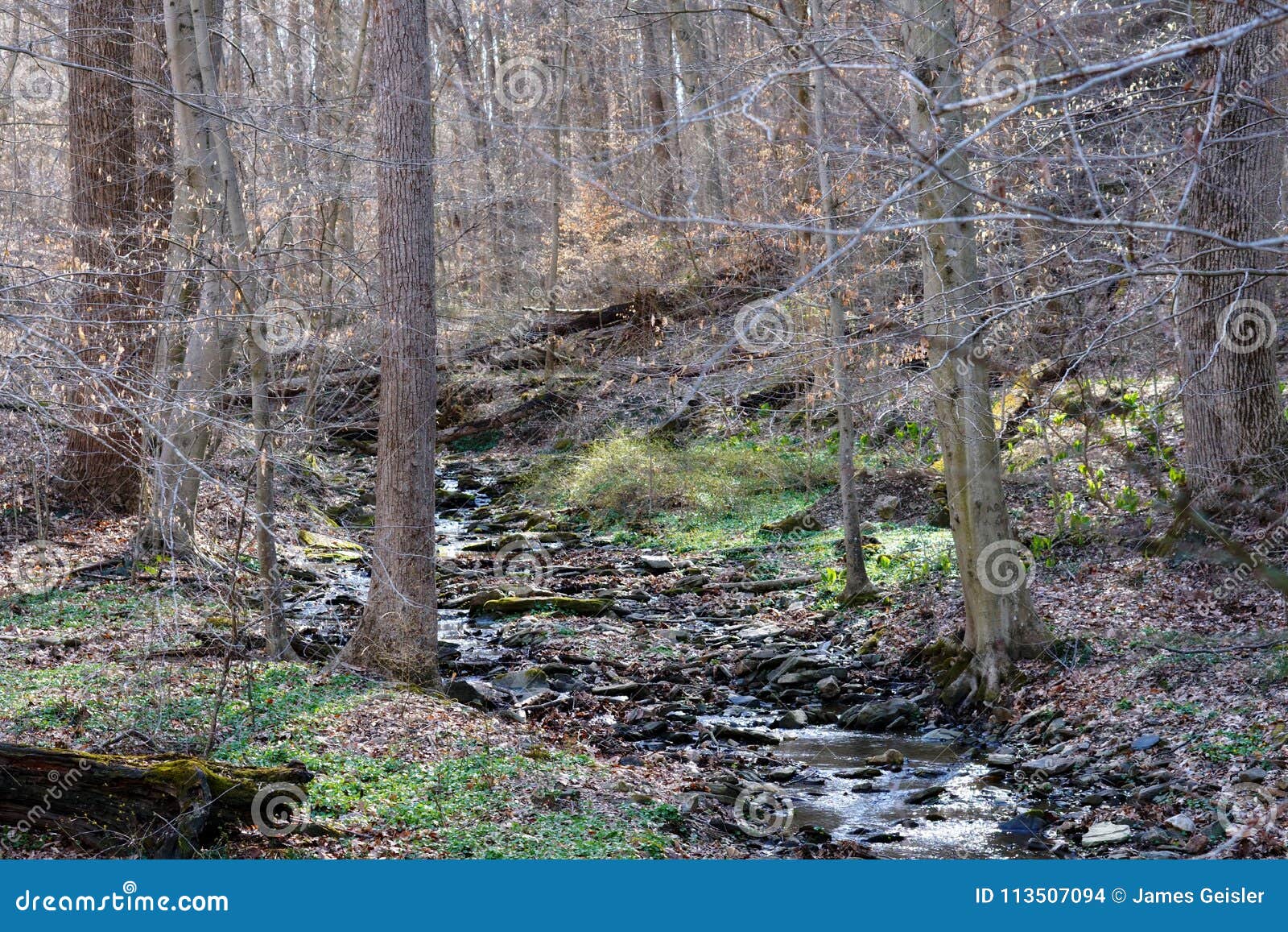 White Clay Creek in Delaware. Stock Photo - Image of color, nature ...