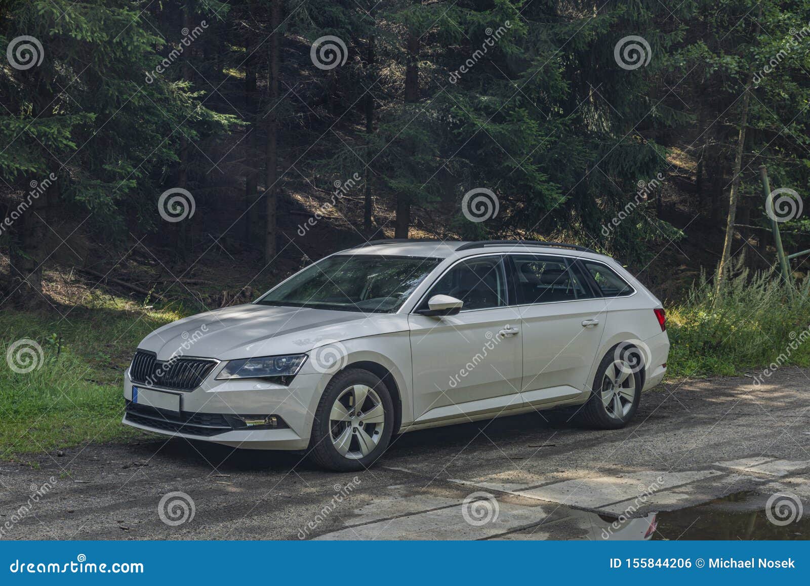White Clean Car on Concrete Road in Summer Sunny Forest Stock Photo ...