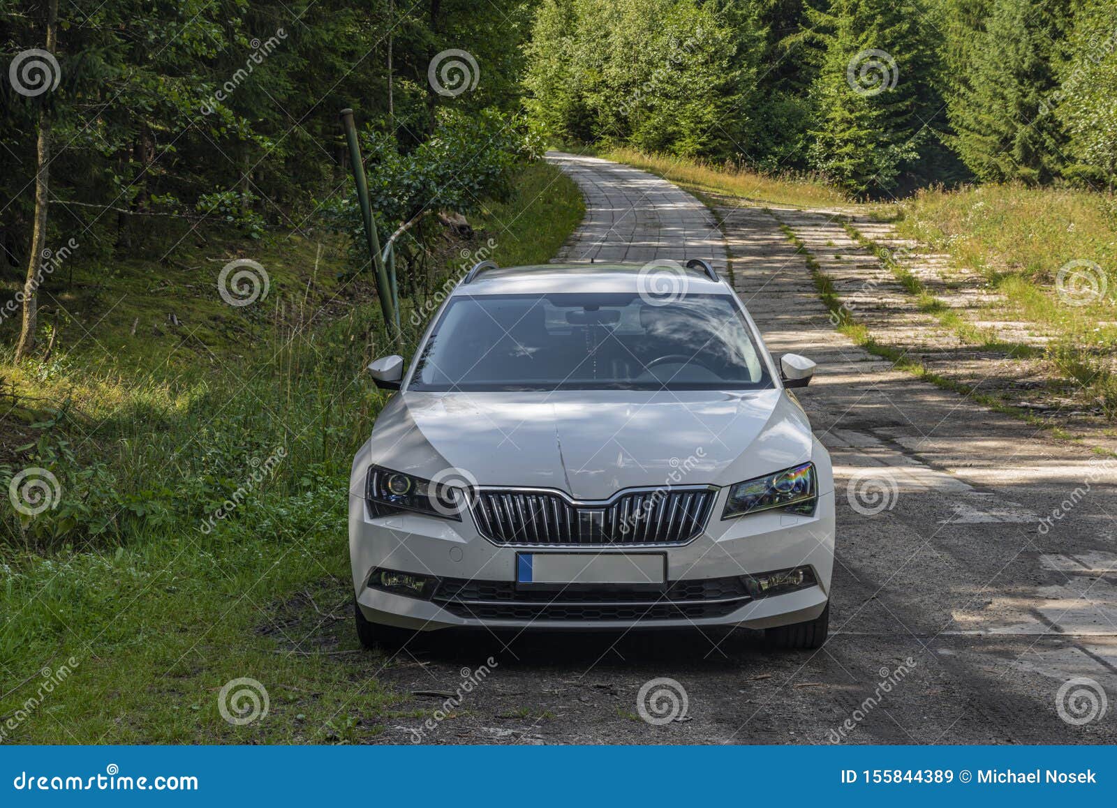 White Clean Car on Concrete Road in Summer Sunny Forest Stock Image ...