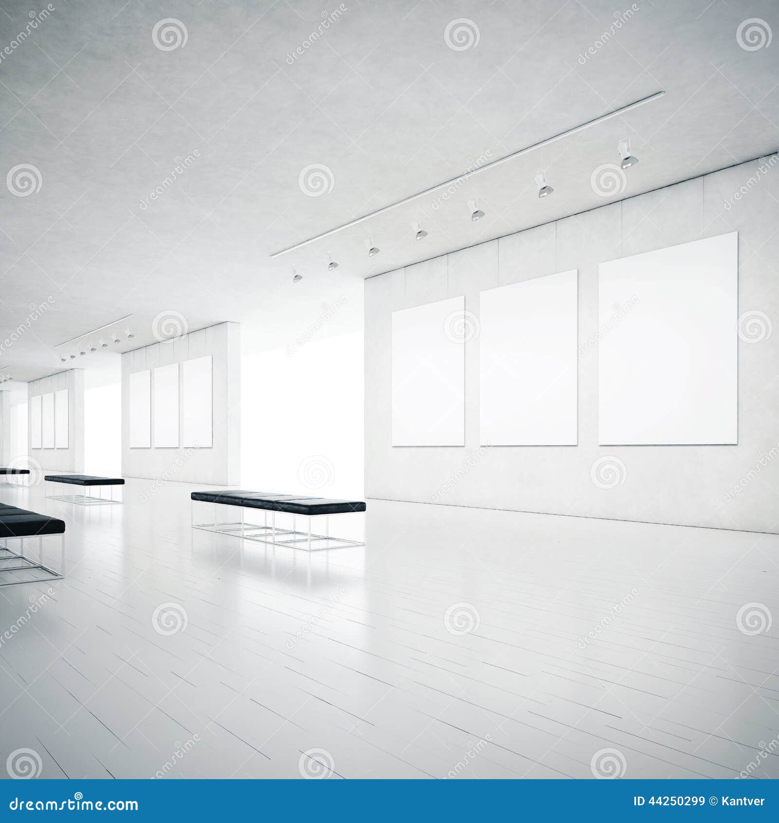 White Clean Gallery Interior Stock Image - Image of place, hall: 44250299