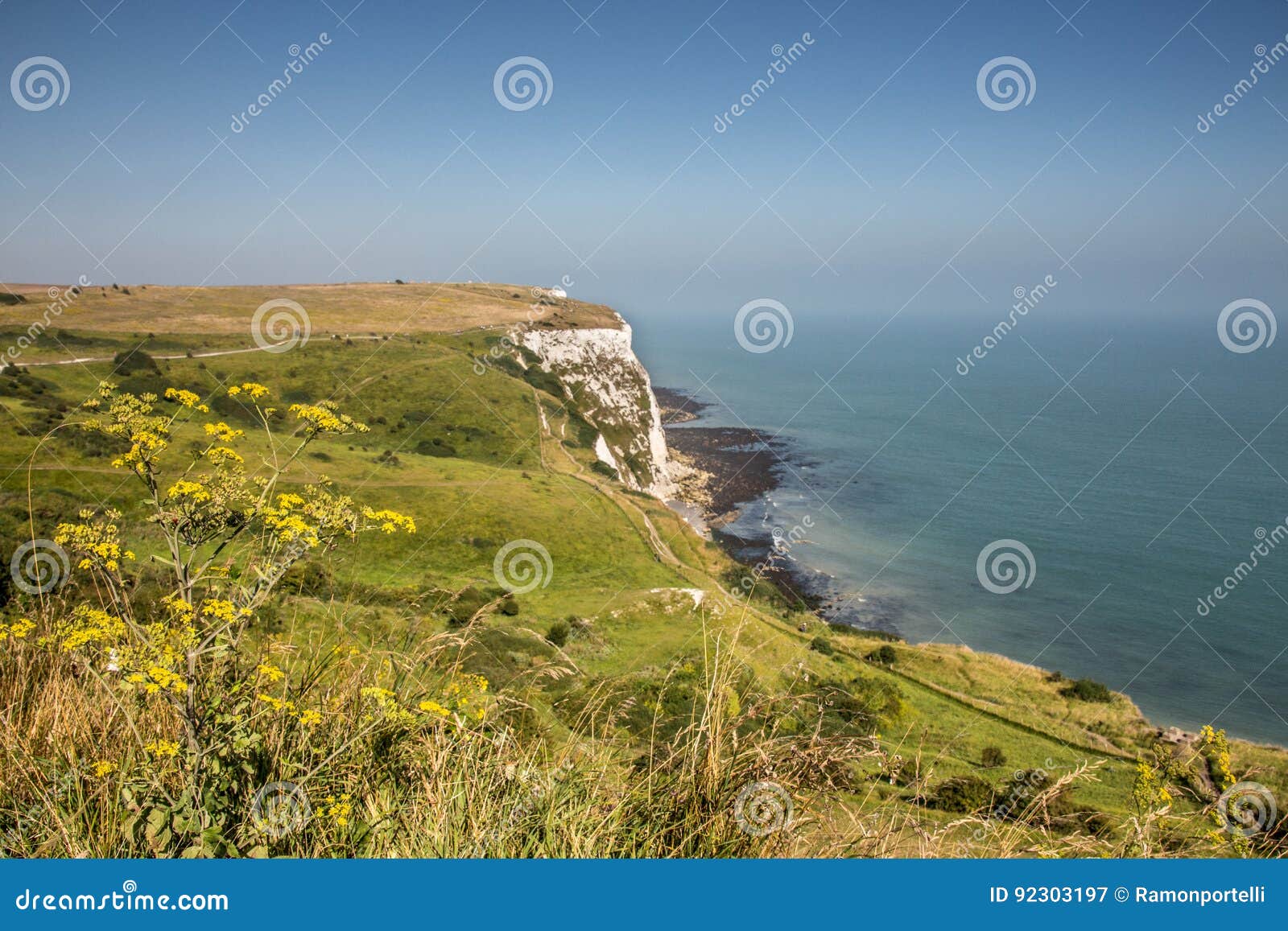 The White Cliffs of Dover on a Sunny Blue Sky Day with Yellow Fl Stock ...