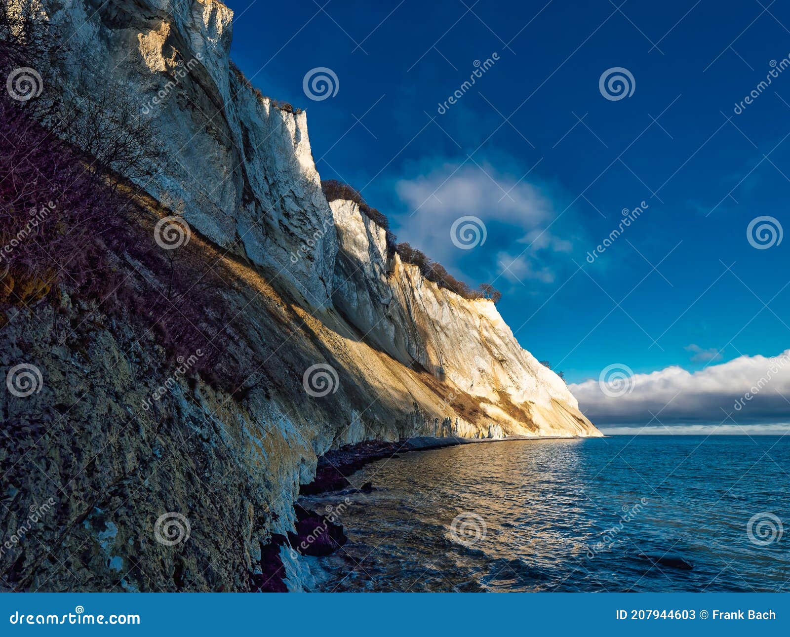 White Cliffs on the Island Moen in Denmark Stock Image - Image of shell ...