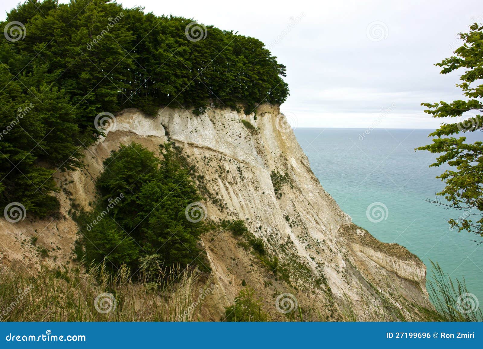 The White Cliffs of Moen in Denmark Stock Photo - Image of area, klint ...