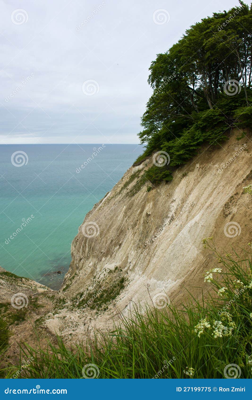 The White Cliffs of Moen in Denmark Stock Image - Image of environment ...