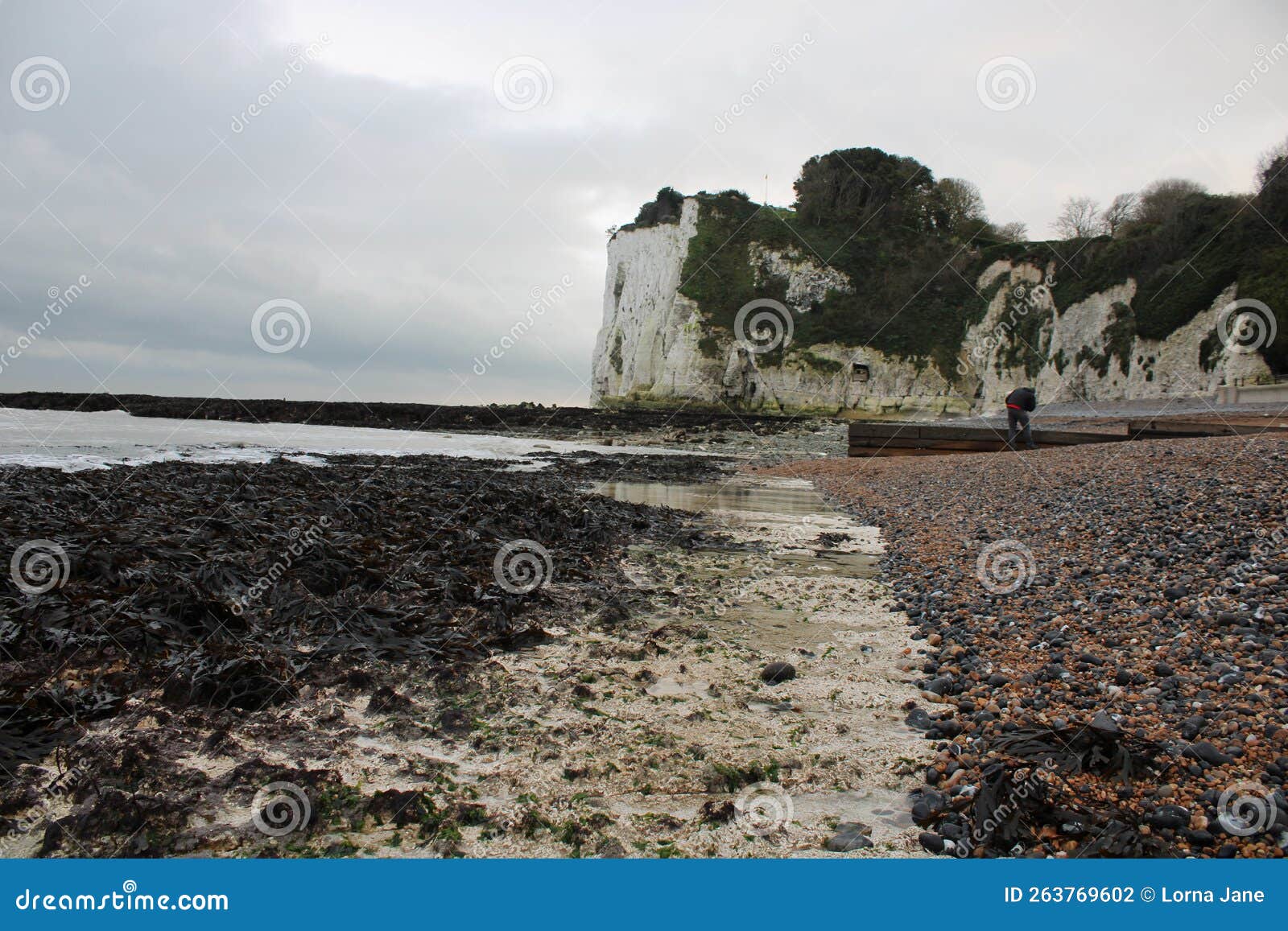 White Cliffs of St Margarets Bay Kent, England, Uk Stock Photo - Image ...