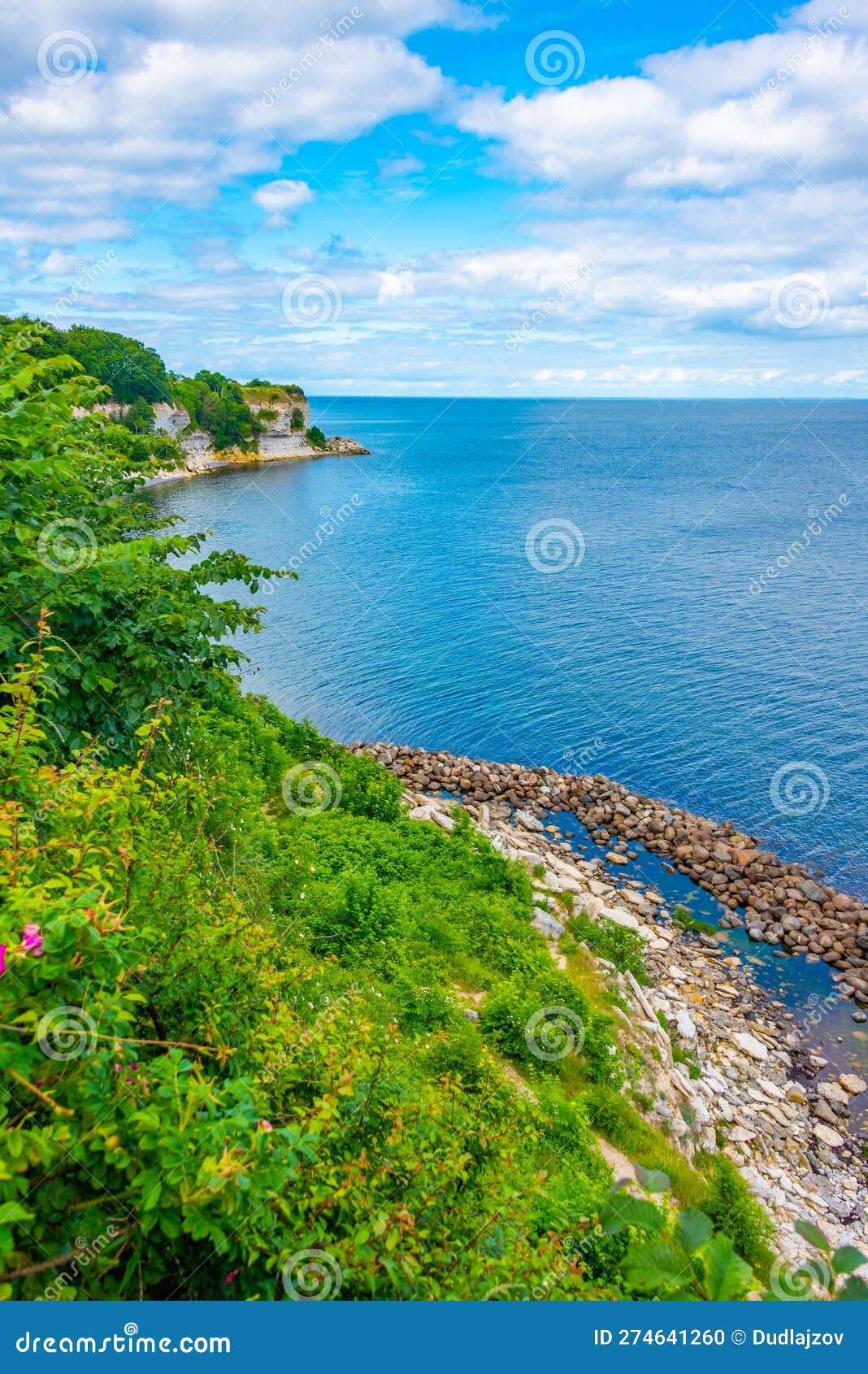 White Cliffs of Stevns Klint in Denmark Stock Photo - Image of tourism ...