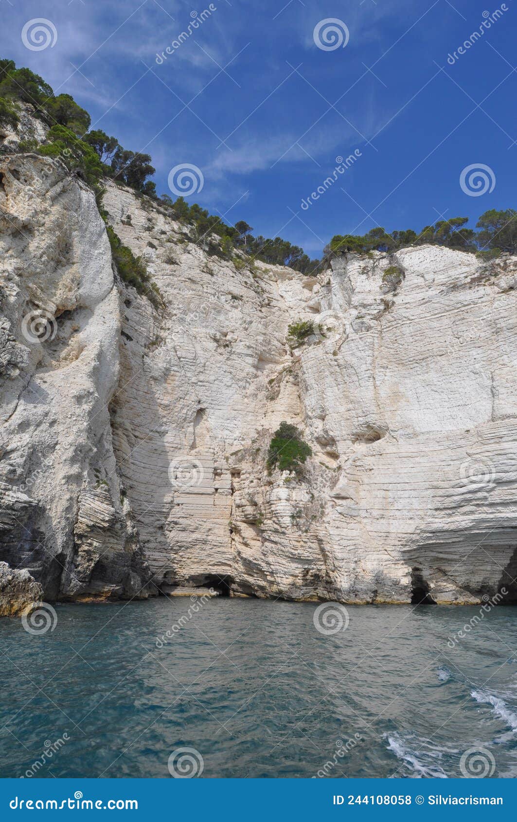 White cliffs in Vieste stock photo. Image of apulia - 244108058