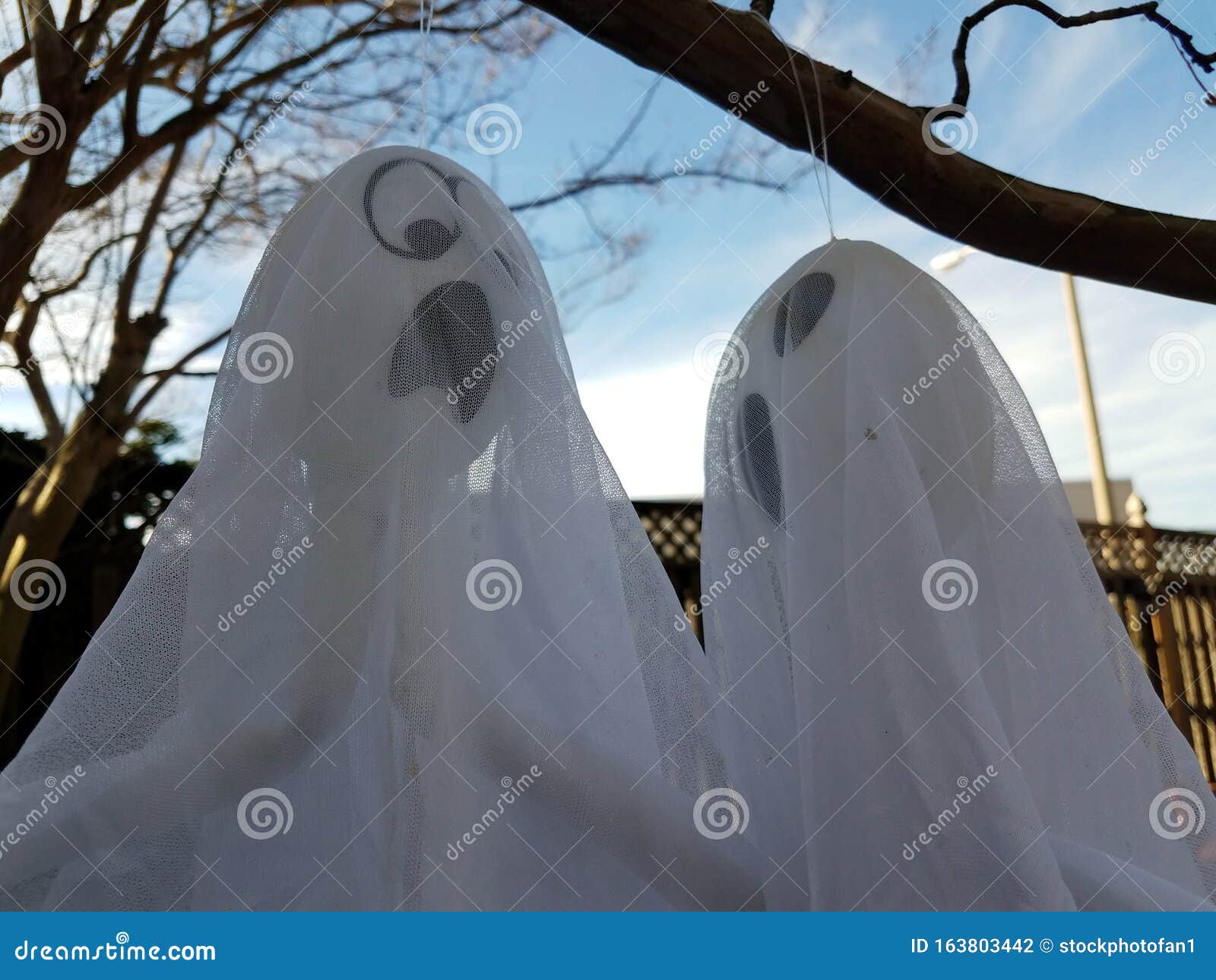 White Cloth Ghosts Hanging from Tree Branch Stock Photo - Image of ...