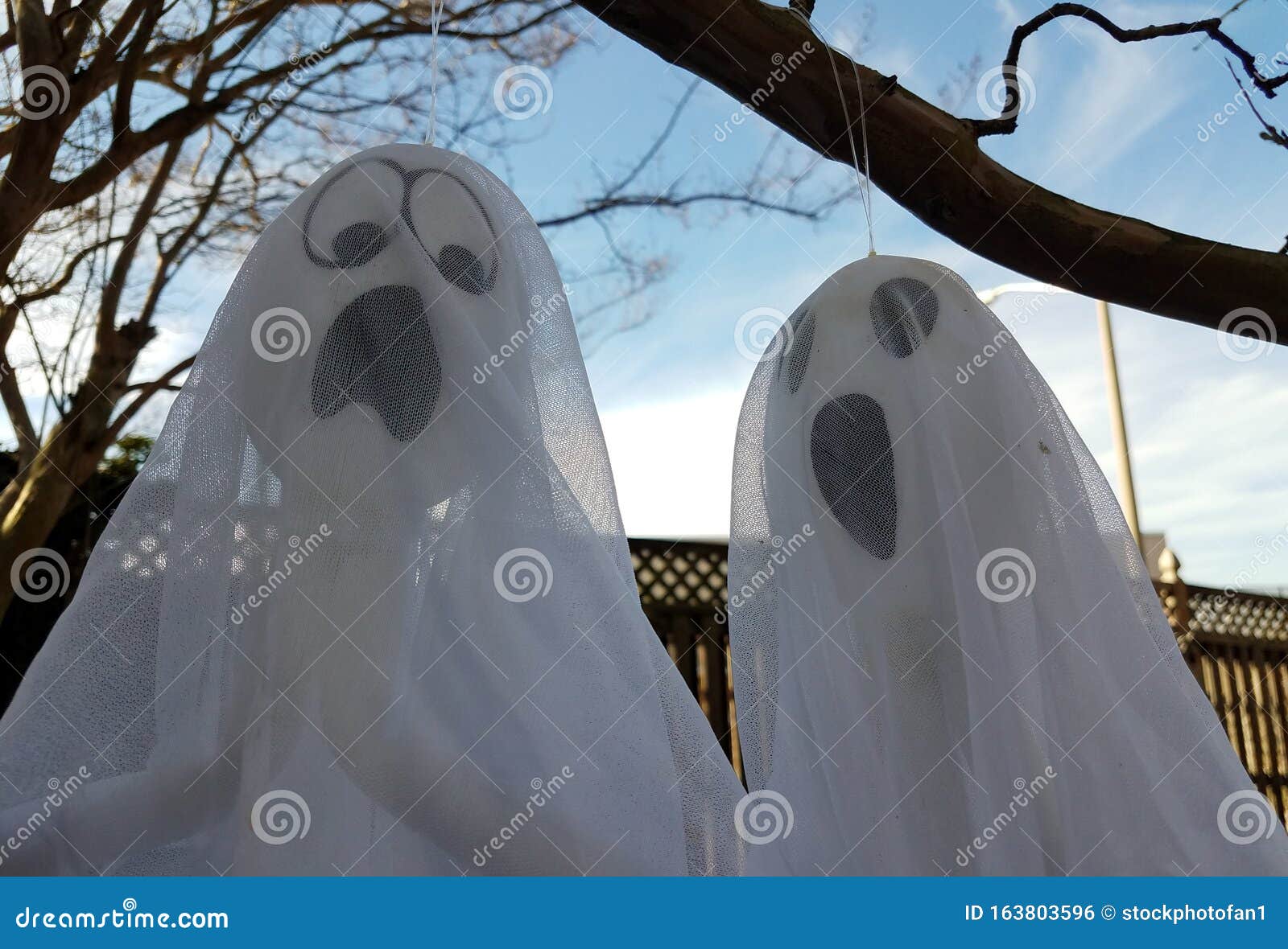 White Cloth Ghosts Hanging from Tree Branch Stock Photo - Image of ...