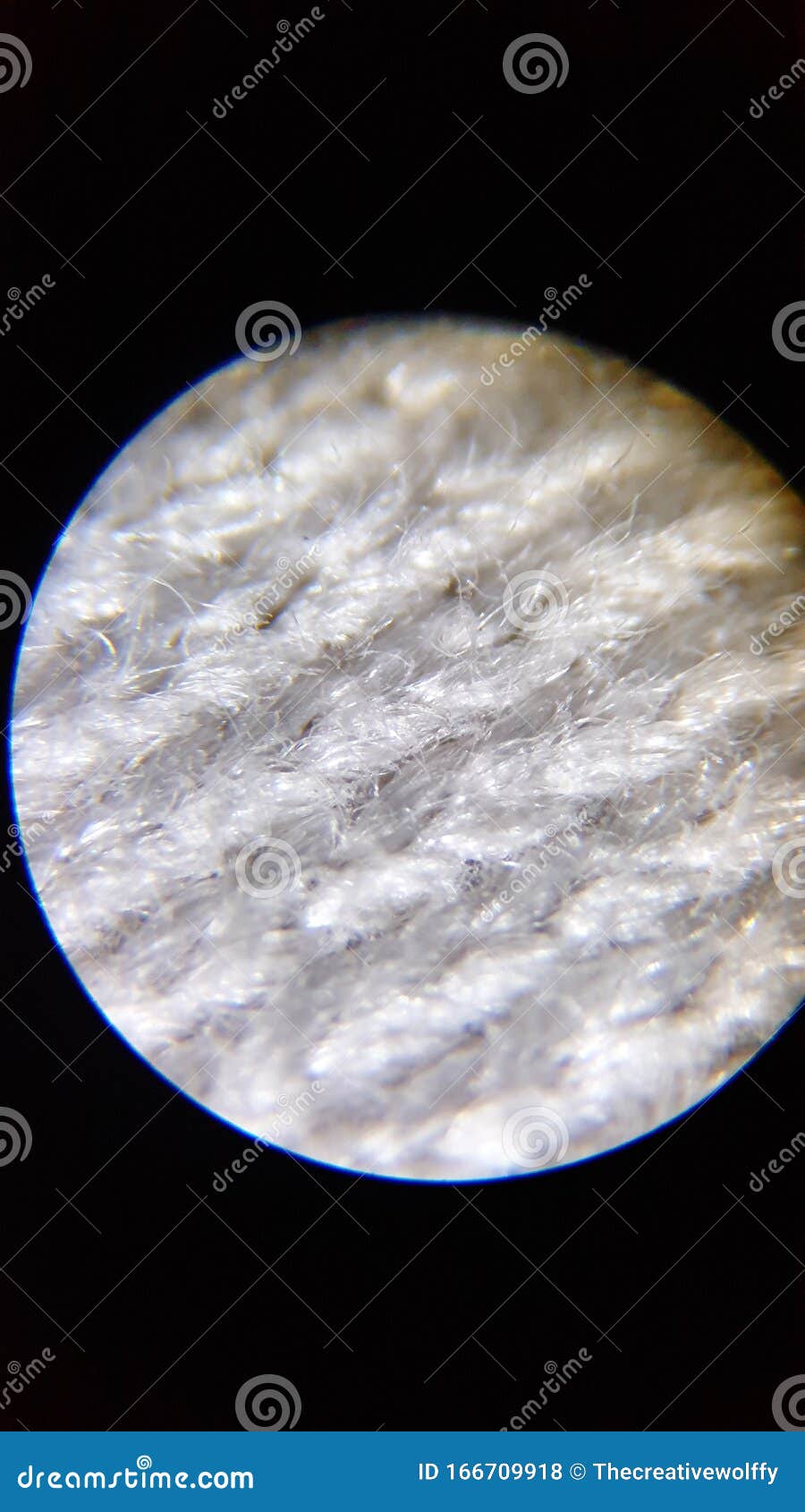 White Cloth Under Microscope Stock Photo - Image of fiber, white: 166709918